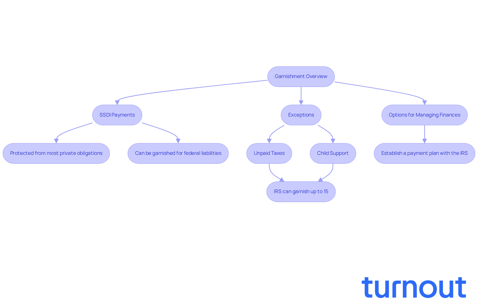 This flowchart guides you through the process of garnishment related to SSDI. Start at the top with the overview, follow the branches to see what can be garnished, and explore your options for managing your finances.