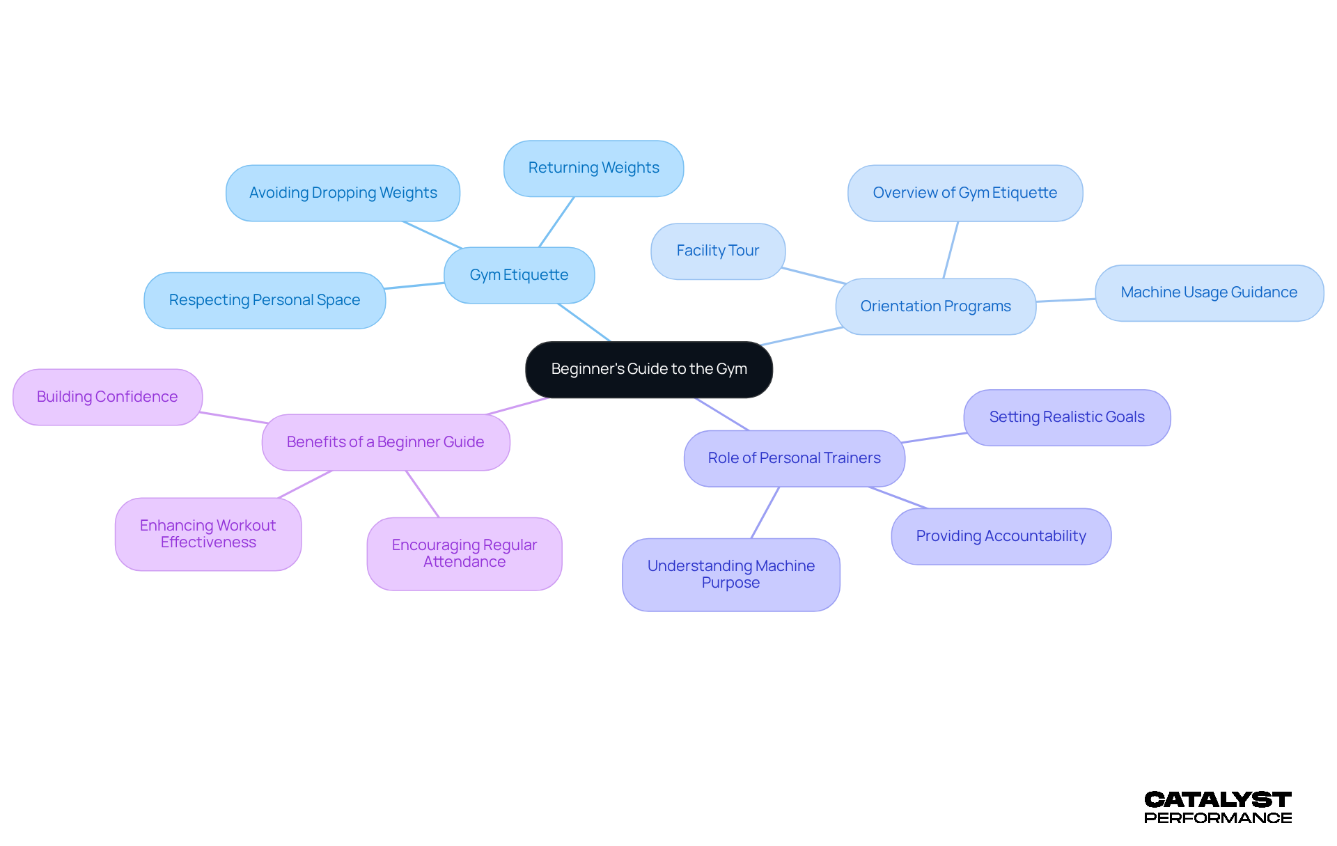 Start at the center with the main guide, then follow the branches to explore different aspects of the gym experience. Each branch represents a key area that helps newcomers feel more confident and informed.