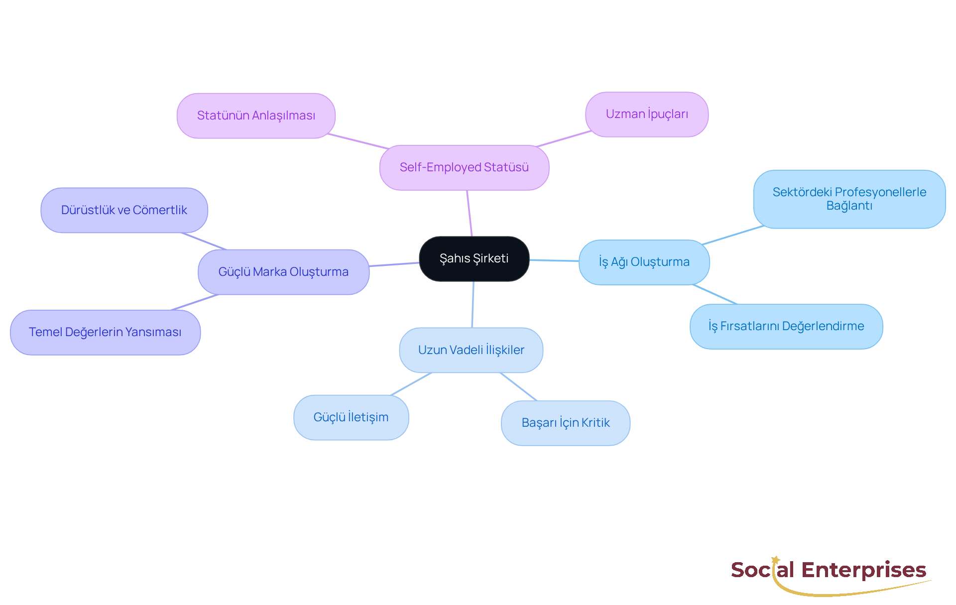 Merkezde şahıs şirketinin avantajları var; dallar, bu şirketin sunduğu fırsatlar ve stratejileri temsil ediyor. Her dalın altındaki bilgiler, girişimcilerin iş kurma yolundaki adımlarını ve bağlantılarını gösteriyor.