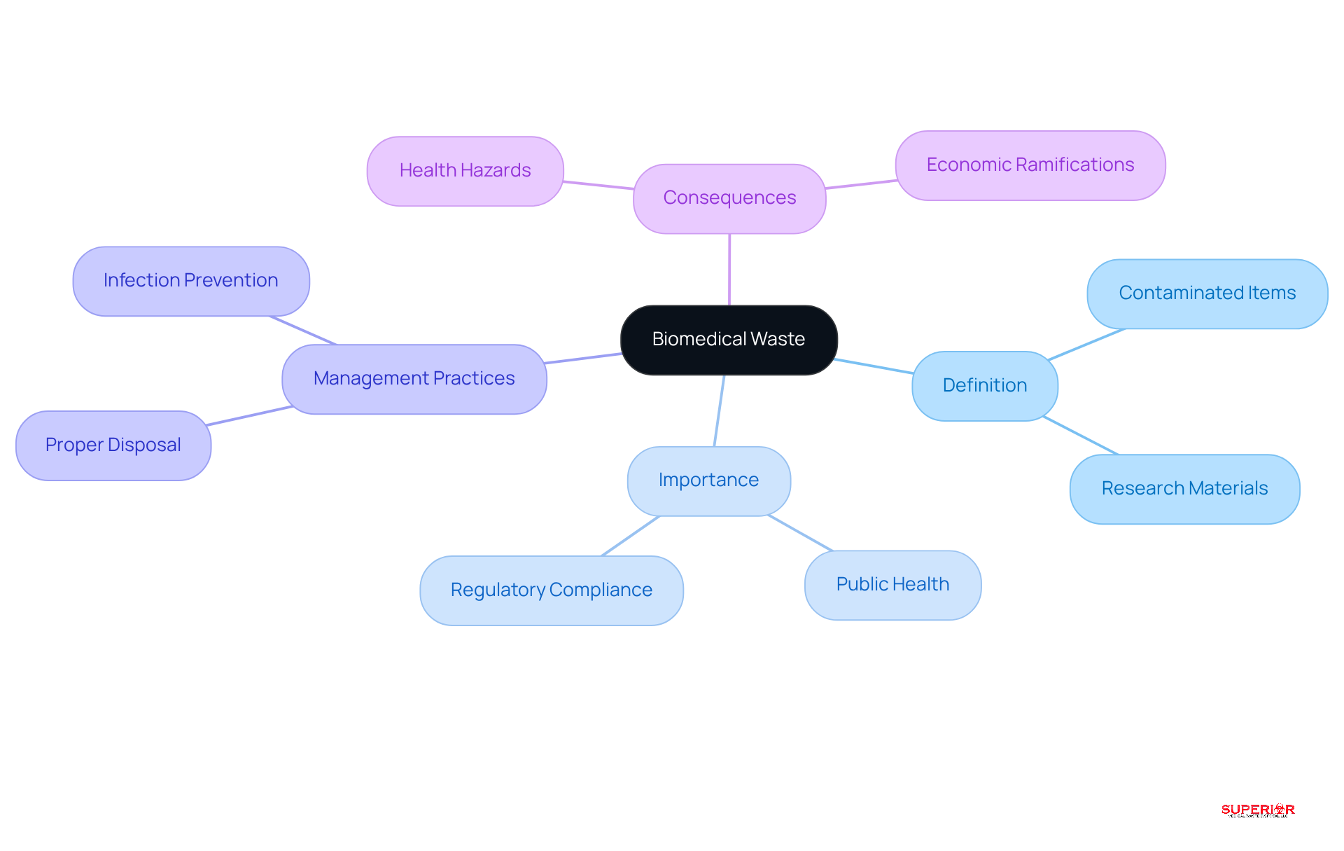 Start at the center with 'Biomedical Waste', then explore each branch to see definitions, importance, management practices, and consequences. Each color-coded branch helps you understand the relationships and significance of each aspect.