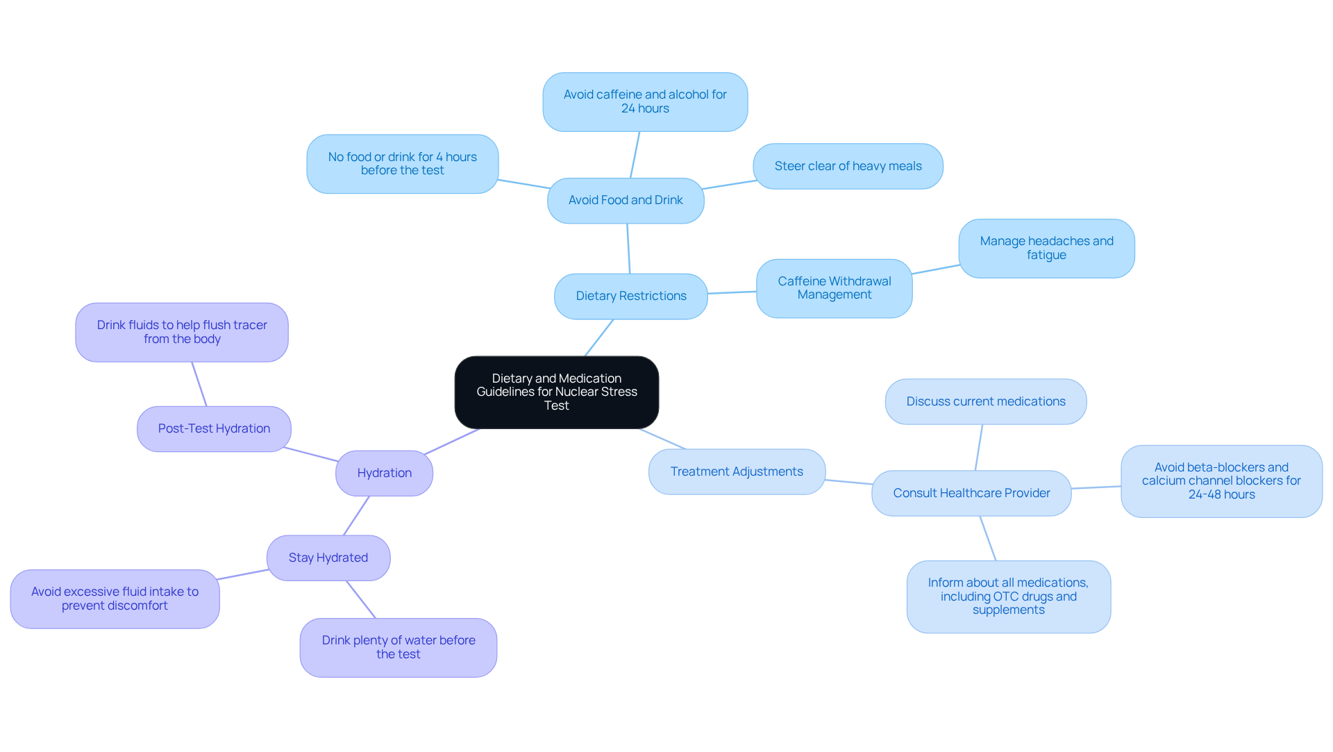 The center shows the main topic, and the branches represent different categories of guidelines. Each sub-branch provides specific instructions to help you prepare effectively.