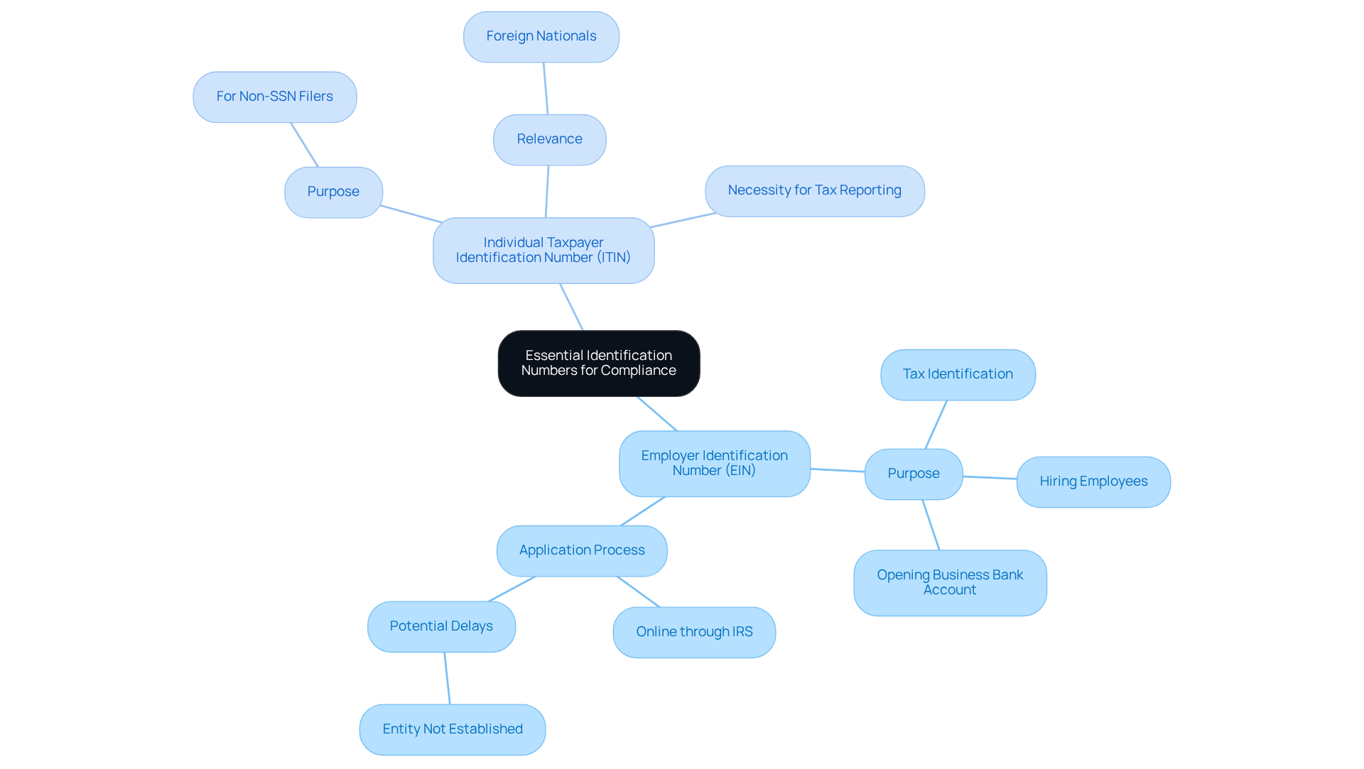The central node represents the main topic of identification numbers. Each branch shows a specific number (EIN or ITIN) and its details, helping you see why they are important and how to obtain them. The central node represents the main topic of identification numbers. Each branch shows a specific number (EIN or ITIN) and its details, helping you see why they are important and how to obtain them.