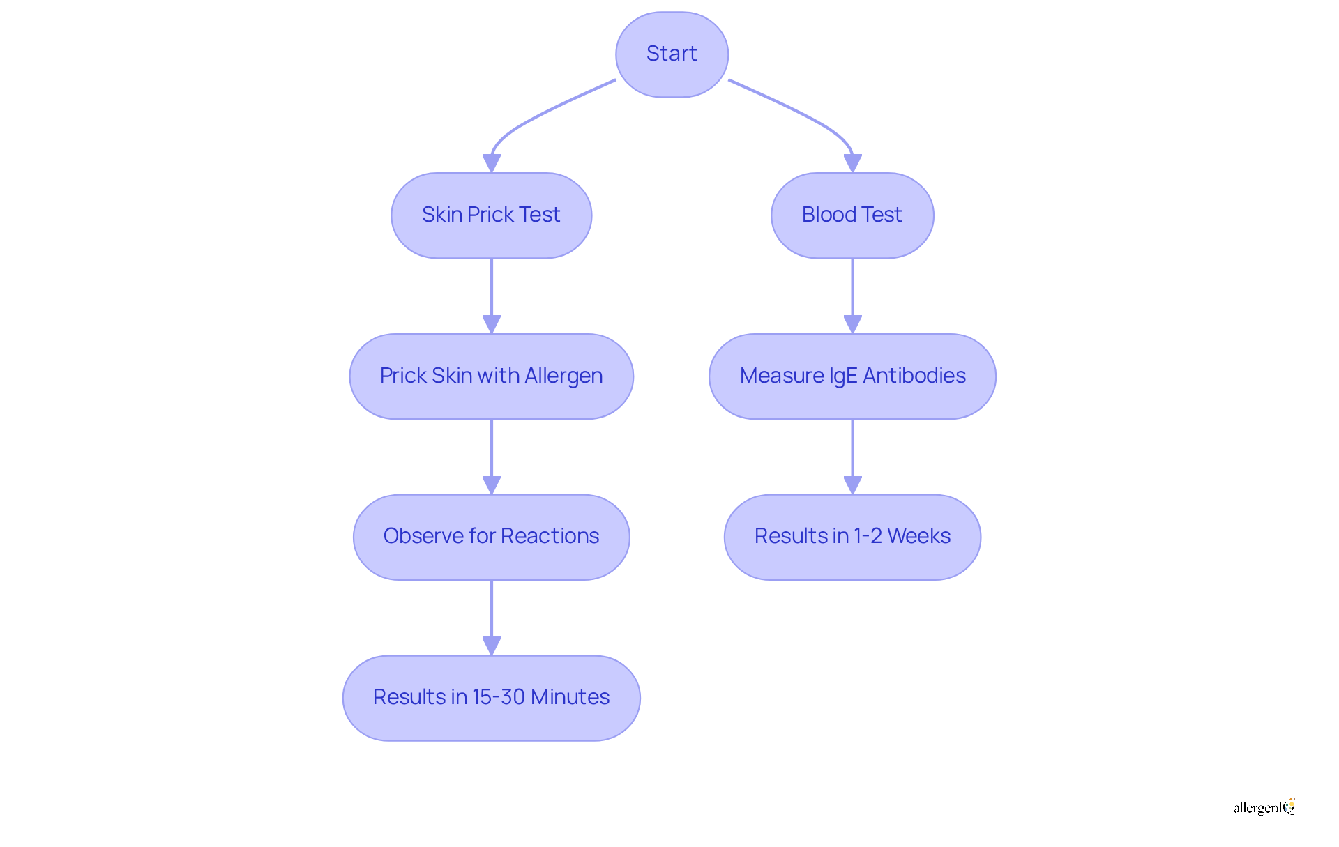 Follow the arrows to see how each test works. The skin prick test gives quick results, while the blood test takes longer. Each step shows what happens during the testing process.