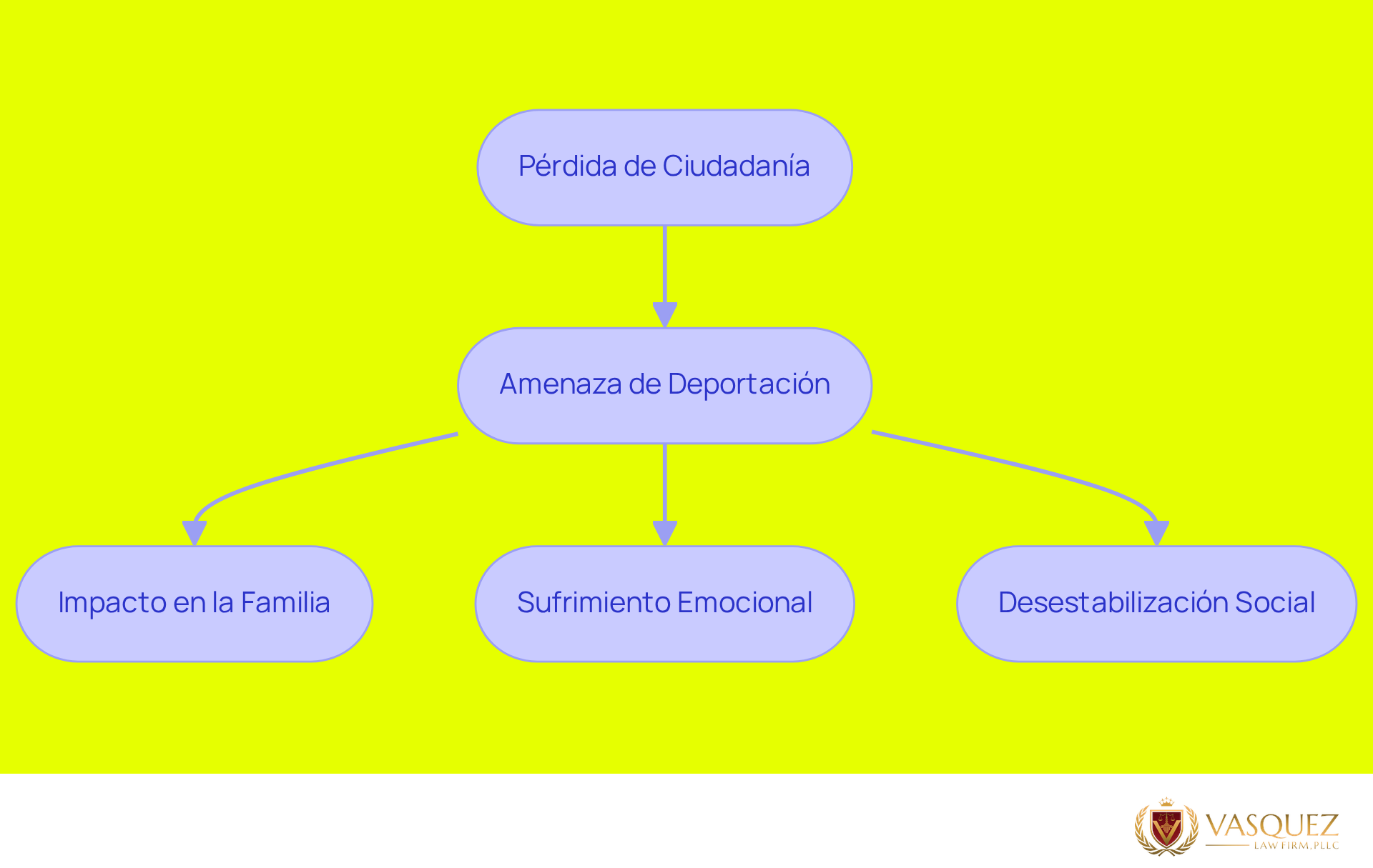 Cada cuadro representa una etapa o consecuencia de la denaturalización. Sigue las flechas para ver cómo cada fase se conecta y el impacto que tiene en las personas y las familias.