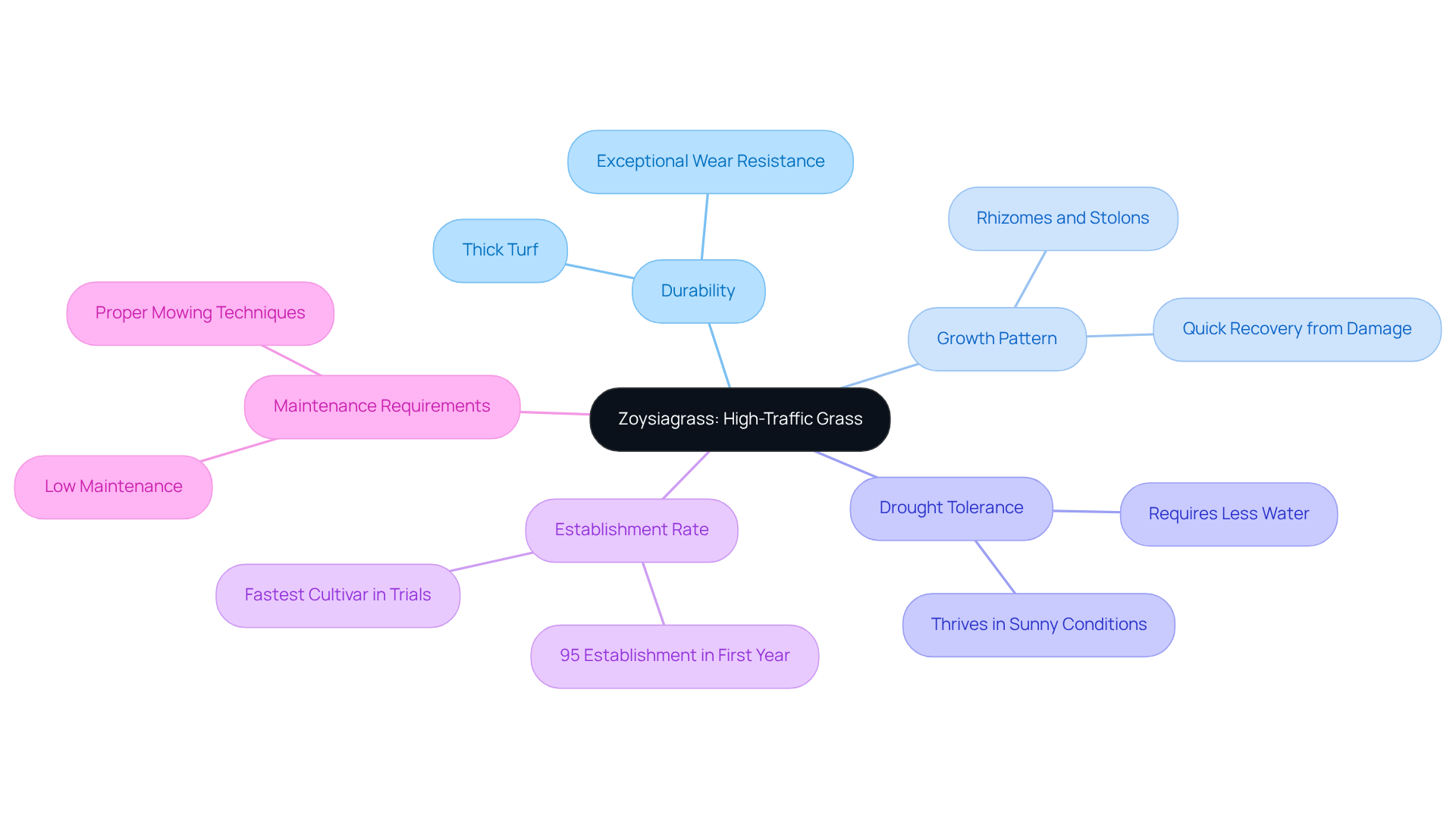 The central node represents Zoysiagrass, and each branch shows a key characteristic. Follow the branches to explore how each aspect contributes to its suitability for high-traffic areas.