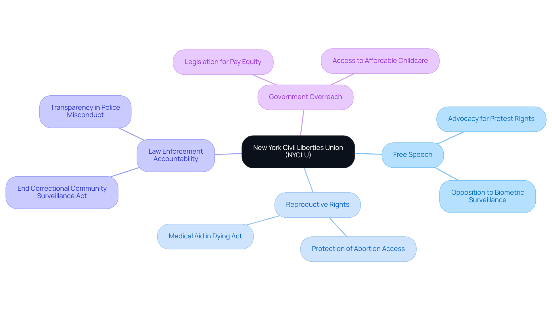 This mindmap shows how the NYCLU works to protect our rights. Start at the center with the NYCLU, then follow the branches to see the different areas they focus on, like free speech and reproductive rights. Each branch represents a vital part of their mission to defend our freedoms.