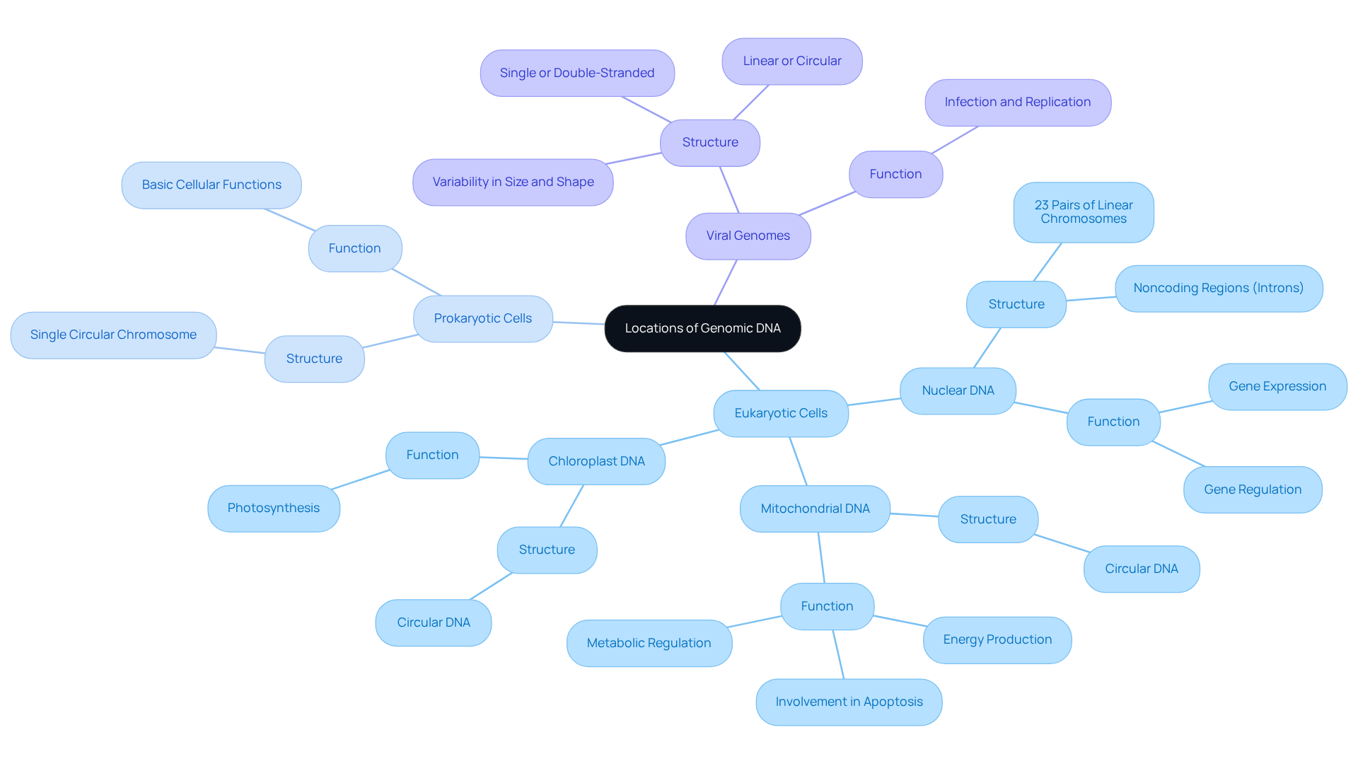 The central node represents the main topic, while branches show different types of genomic DNA found in various organisms. Each sub-branch provides details about the structure and function of that DNA type.