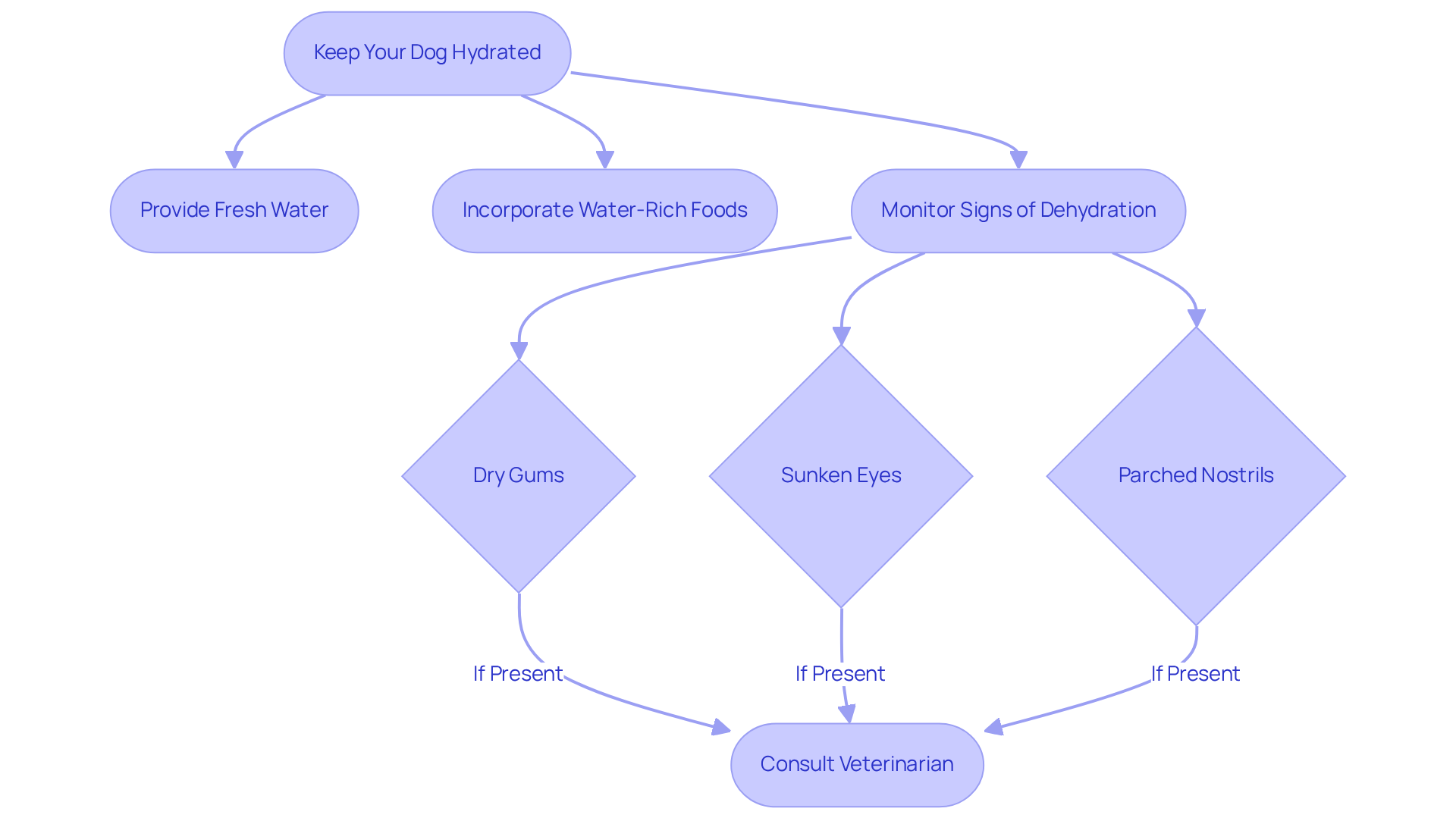 Follow the steps from providing water to recognizing the signs of dehydration. Each section shows what you can do to keep your furry friend healthy and happy.