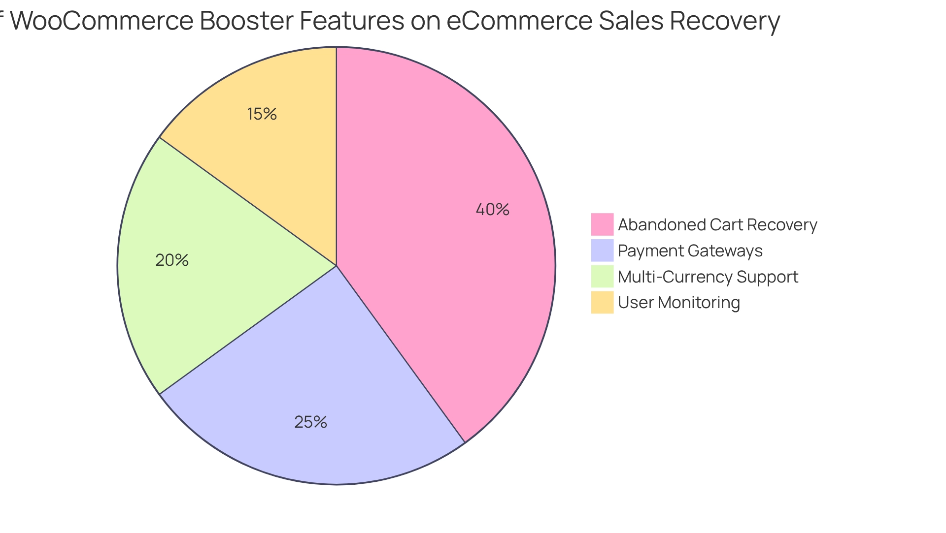 Each segment of the pie represents a different feature of the Booster plugin and how it contributes to improving sales recovery in eCommerce. A larger slice means that feature plays a more significant role in success.