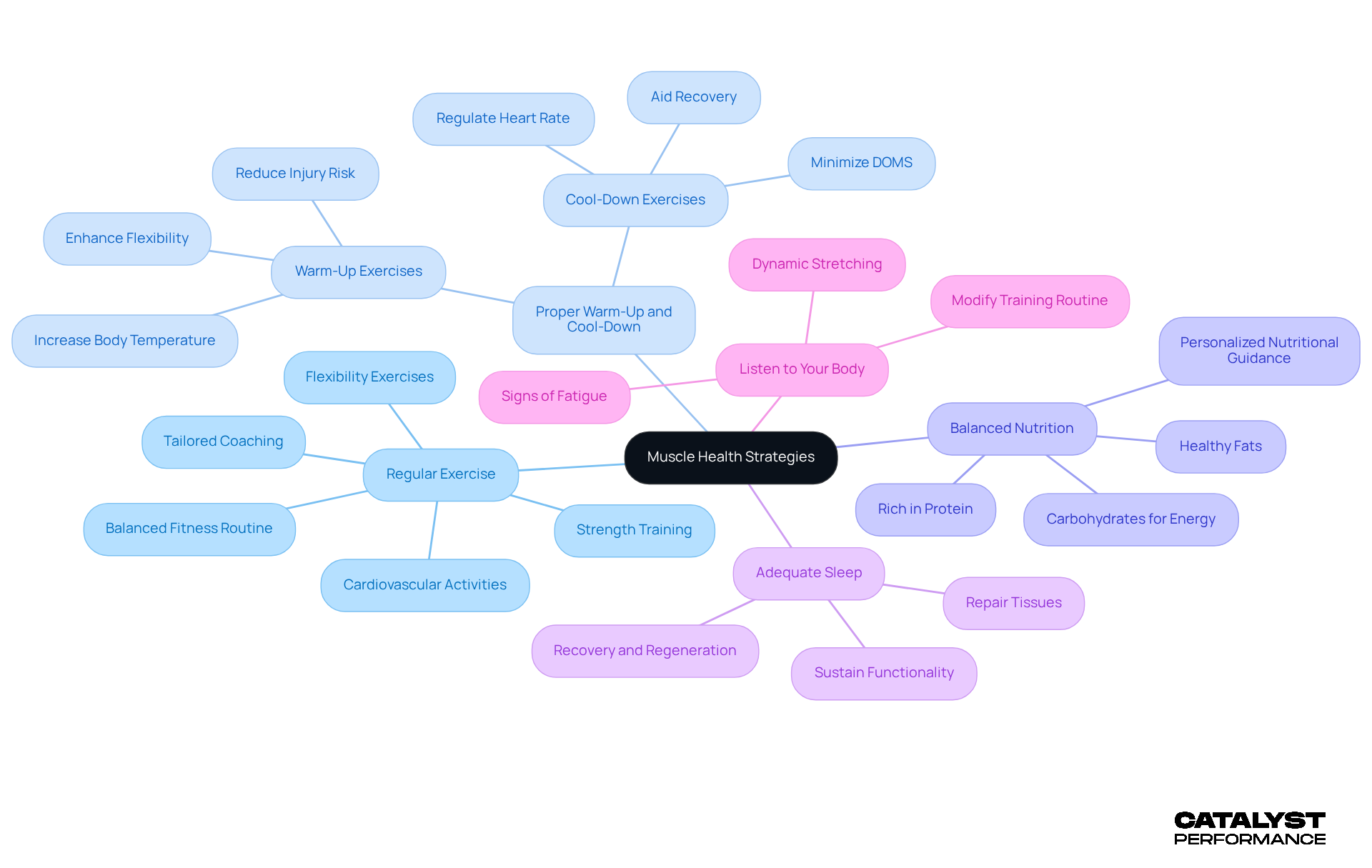 The central node represents the overall goal of maintaining muscle health. Each branch shows a key strategy, and the sub-branches provide additional details or actions related to that strategy. Follow the branches to explore how each aspect contributes to your muscle health journey.