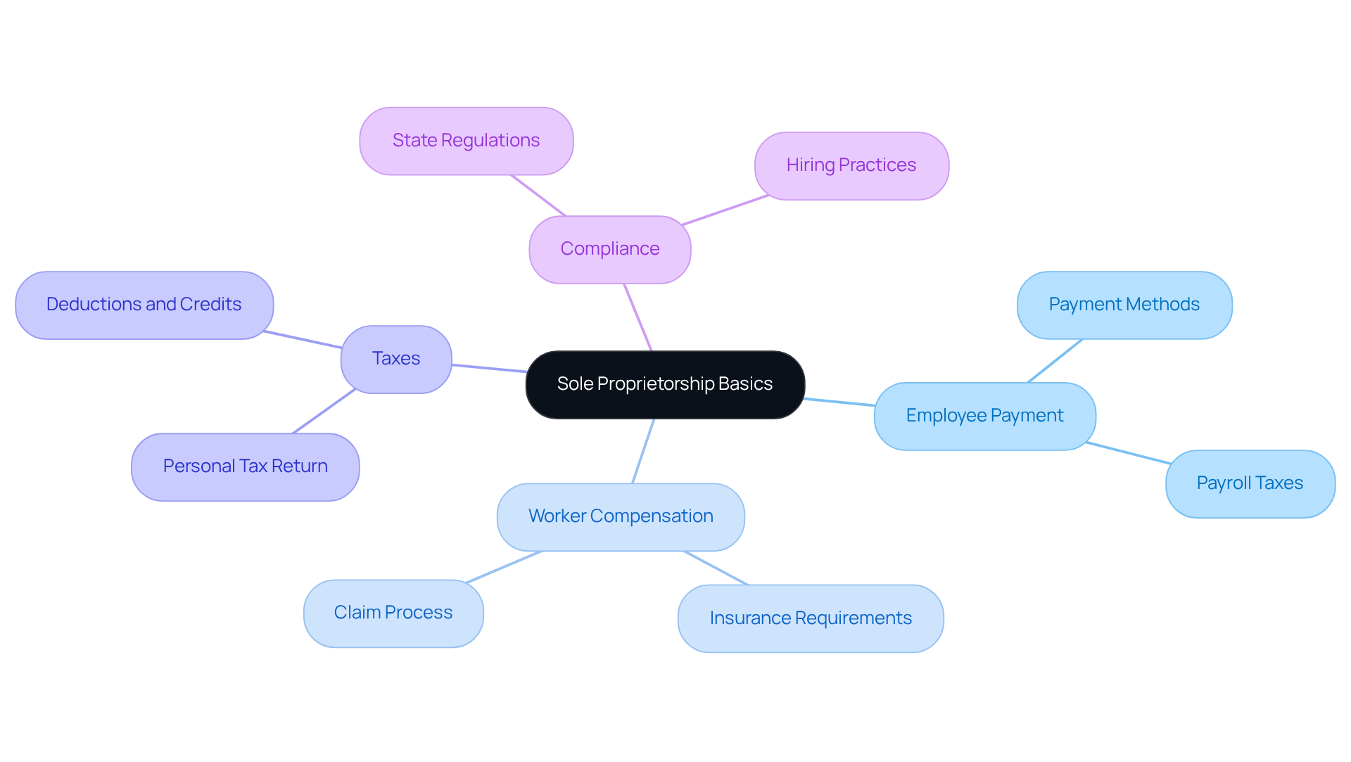 The center represents the main idea of sole proprietorship, with branches showing important topics you need to understand as a business owner. Each color-coded branch helps identify different areas, guiding you through what to consider in your journey.