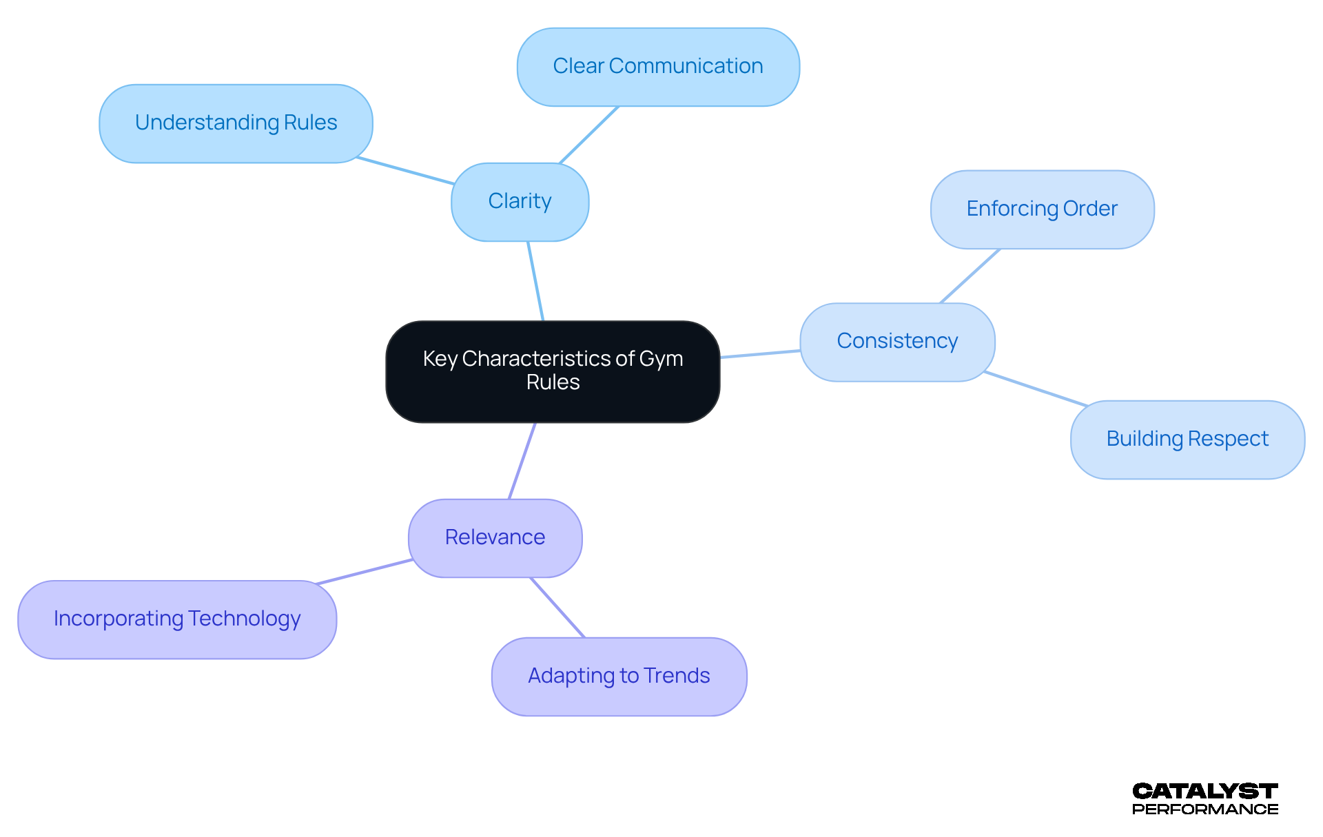 The central node represents the main topic of gym rules, while the branches show the key characteristics. Each sub-branch provides more detail on how these characteristics impact the gym environment and community.