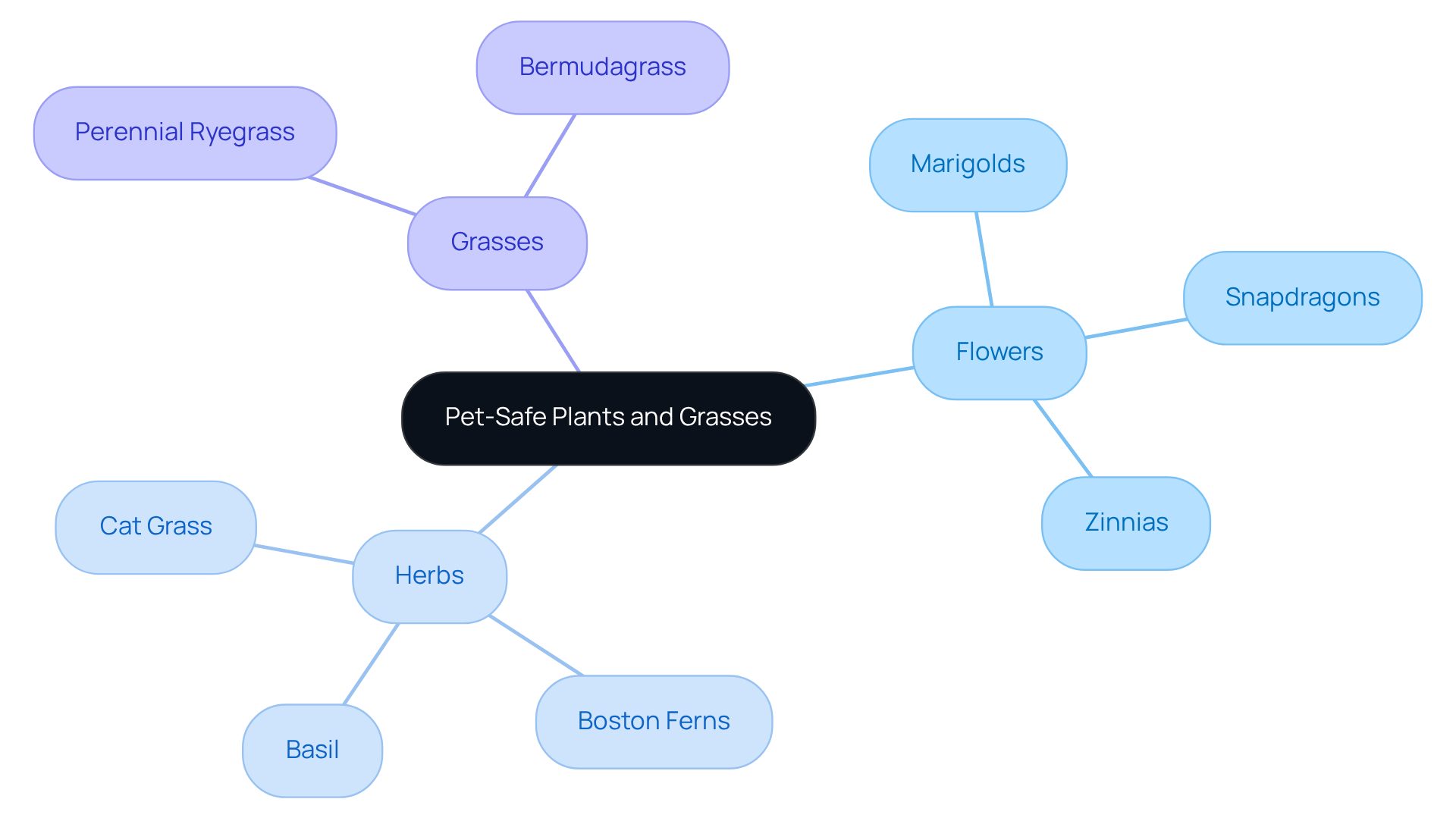 The center shows the main topic of pet-safe plants, and the branches lead to different categories and specific examples. Each color represents a different category, making it easy to follow and understand the options available for creating a safe outdoor space. The center shows the main topic of pet-safe plants, and the branches lead to different categories and specific examples. Each color represents a different category, making it easy to follow and understand the options available for creating a safe outdoor space.