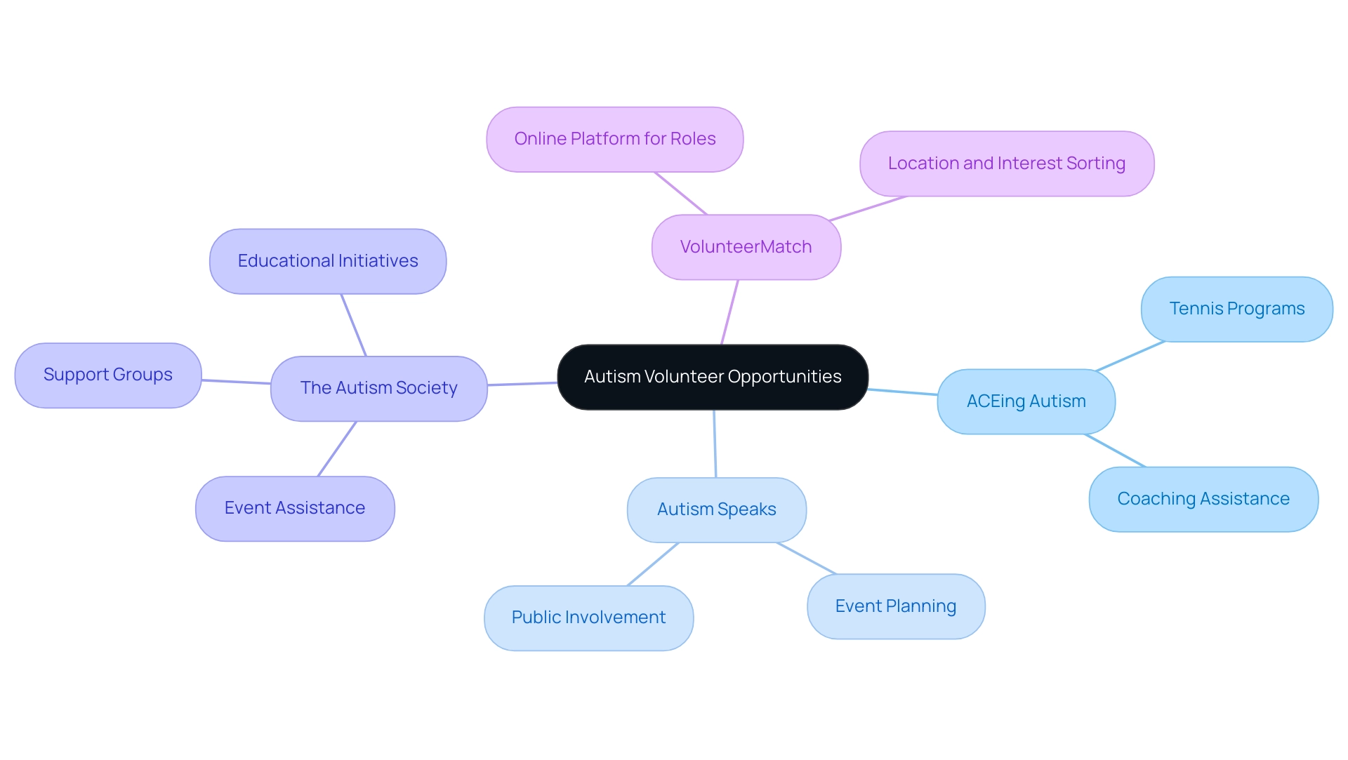 Each branch represents an organization involved in autism volunteer opportunities, with sub-branches detailing their specific roles and activities.