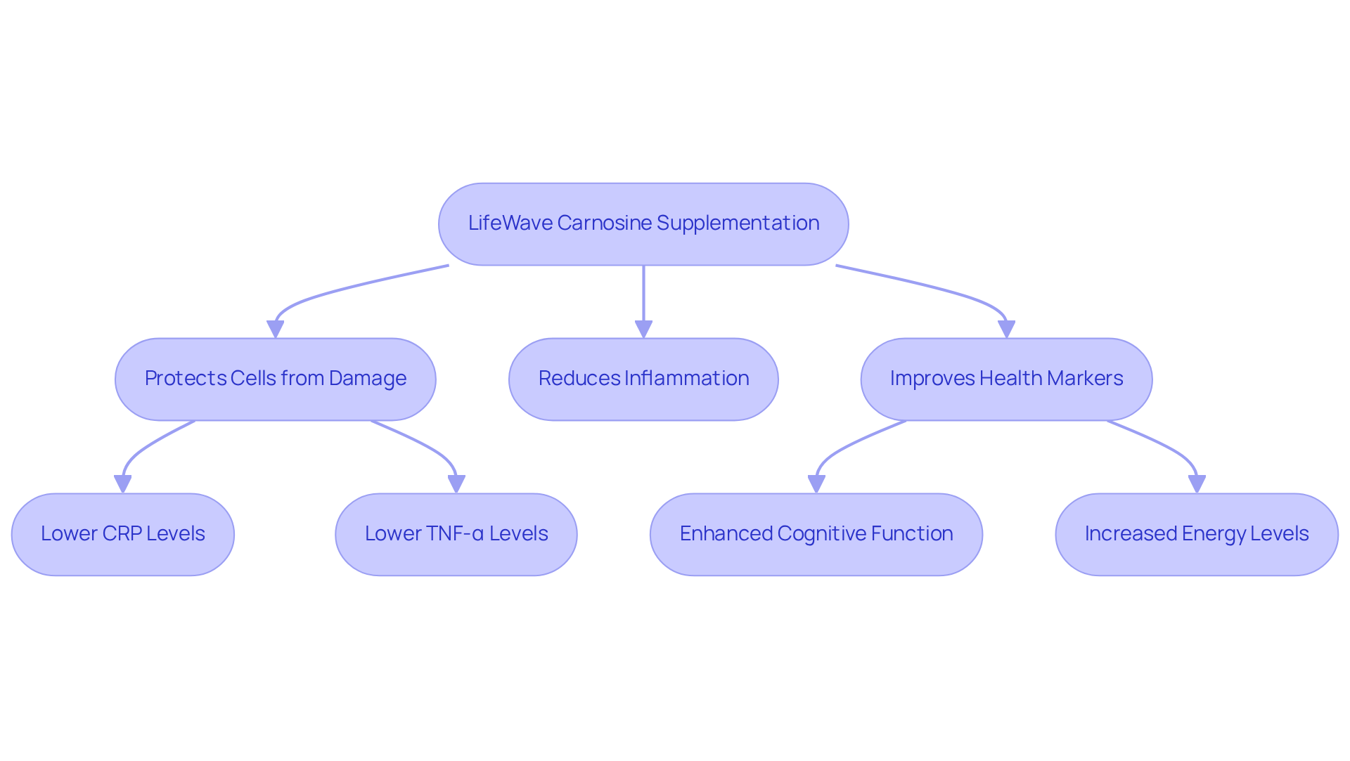 This flowchart illustrates how LifeWave Carnosine supplementation can lead to various health benefits. Start at the top with the supplement, and follow the arrows to see how it protects cells, reduces inflammation, and ultimately improves health markers. This flowchart illustrates how LifeWave Carnosine supplementation can lead to various health benefits. Start at the top with the supplement, and follow the arrows to see how it protects cells, reduces inflammation, and ultimately improves health markers.
