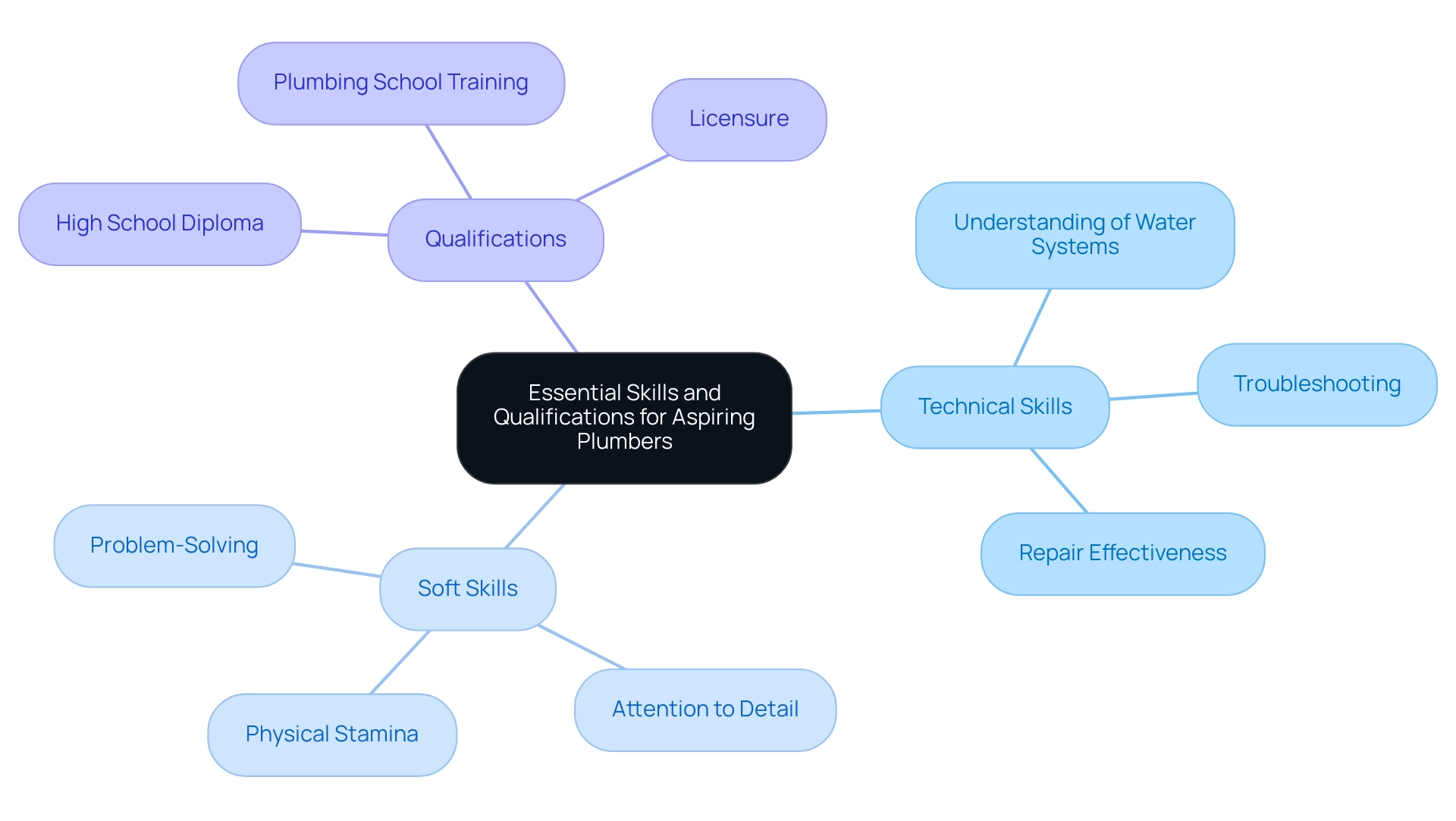 The central node represents the overall theme, with branches indicating key categories of skills and qualifications, each differentiated by color.