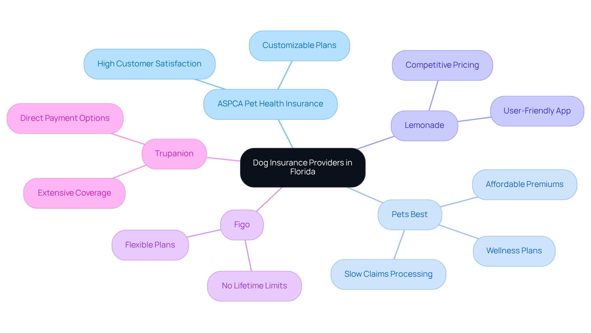 The central node represents the topic of dog insurance, while each branch shows a different provider. The sub-branches highlight important features, helping you quickly see what each provider offers.
