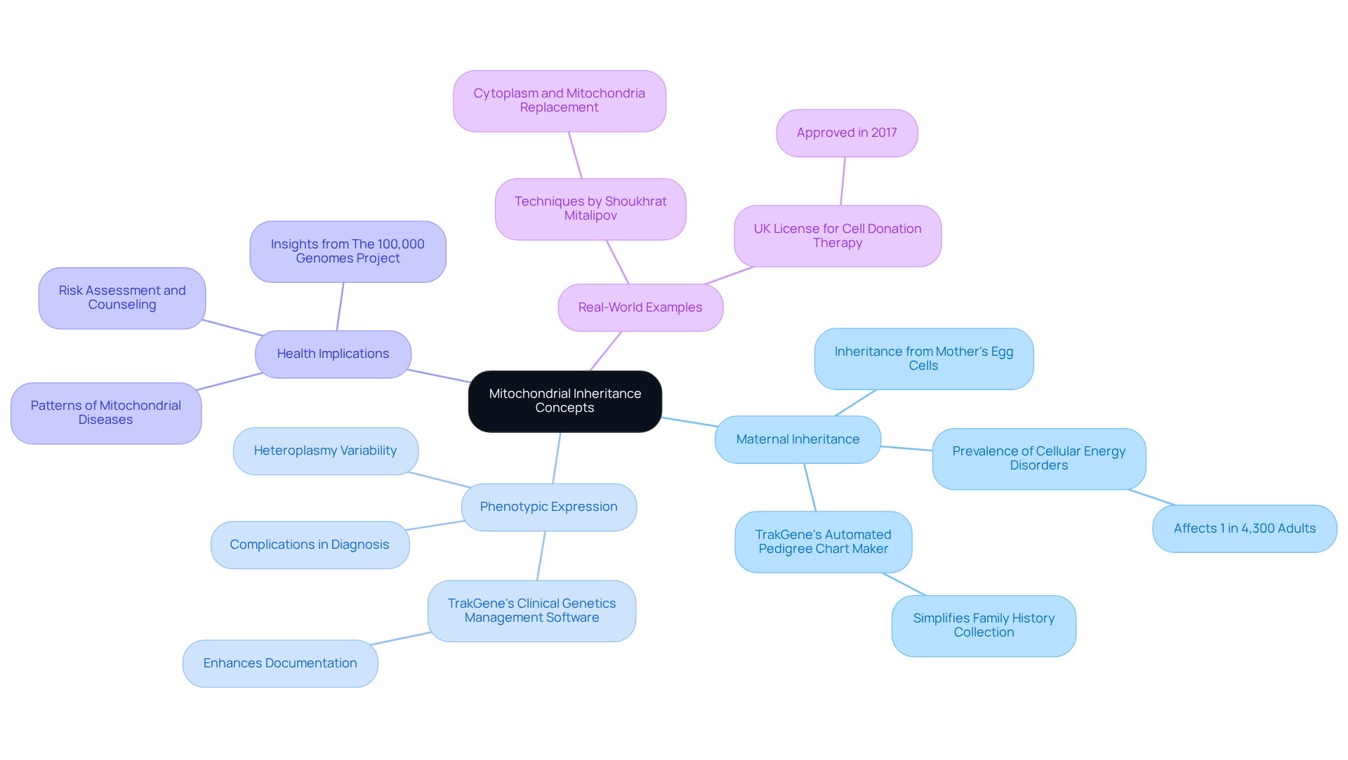 The central node represents the main topic of mitochondrial inheritance. Each branch highlights a key aspect of this topic, with further details provided in the sub-branches. This layout helps visualize how different elements of mitochondrial inheritance connect and influence one another.