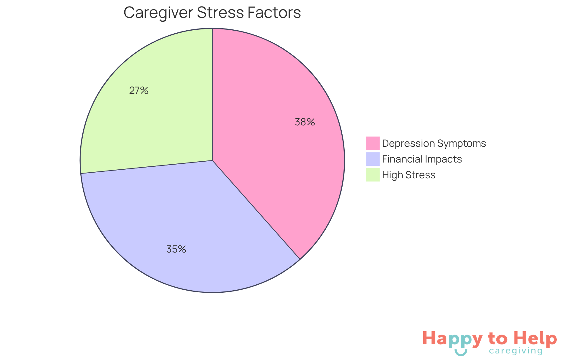 Each slice of the pie shows a different aspect of stress faced by caregivers. The larger the slice, the more caregivers are affected by that issue.