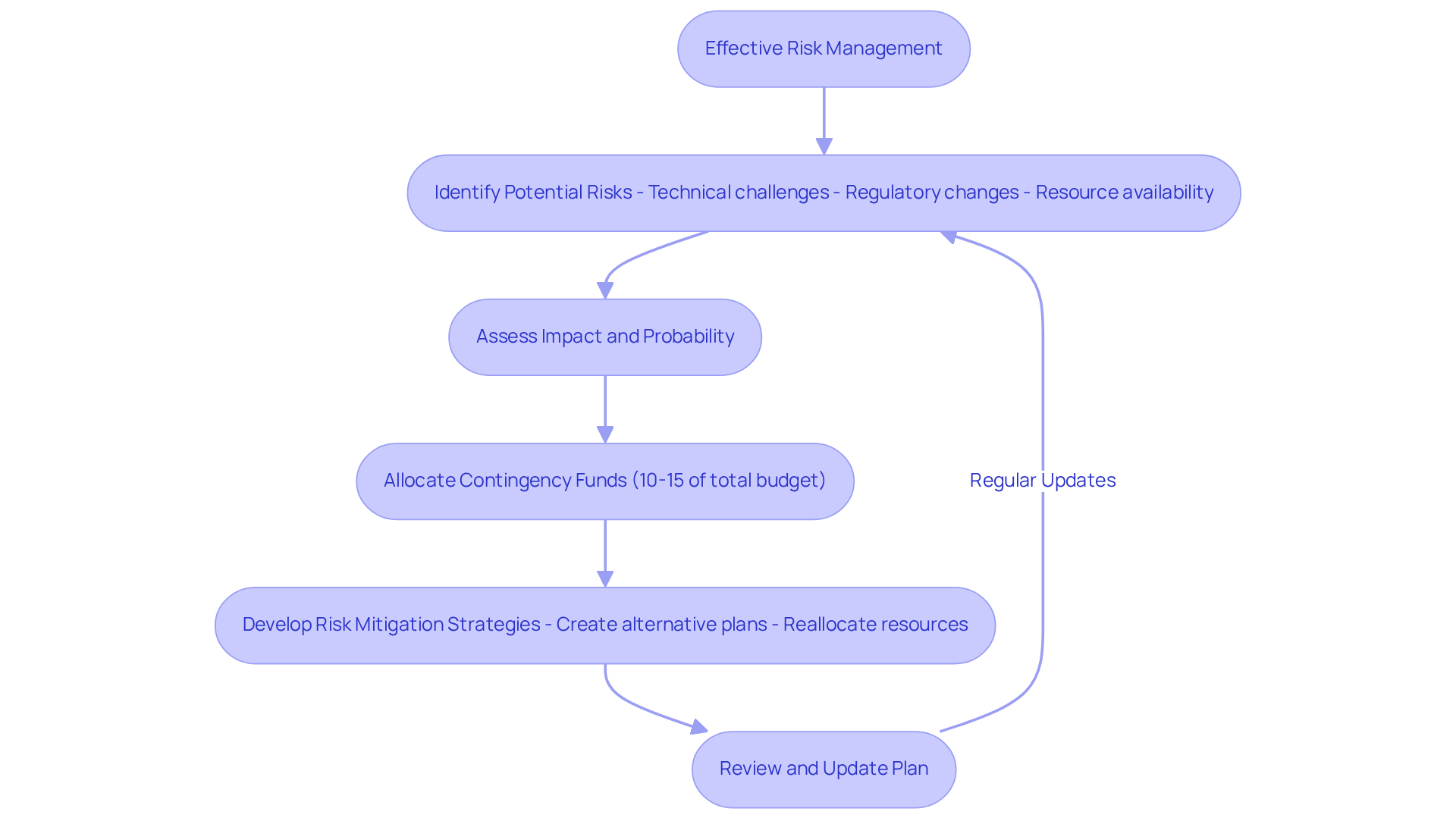 This flowchart outlines the key steps in managing risks for a project. Start at the top with 'Effective Risk Management' and follow the arrows down to see how to identify risks, assess them, allocate funds, develop strategies, and review your plan regularly.