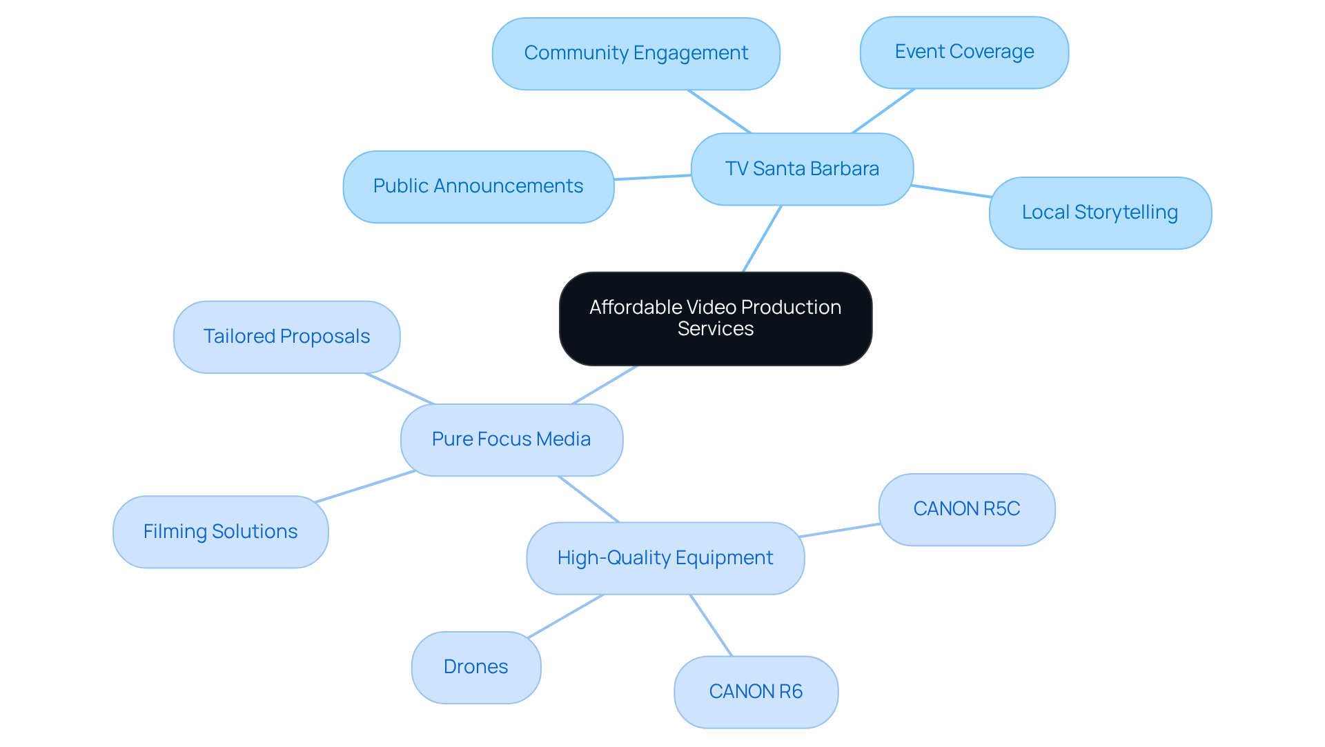 The central node represents the main theme of affordable video production, with branches showing the specific services and values of each organization. Follow the branches to explore how they contribute to local storytelling and community engagement.
