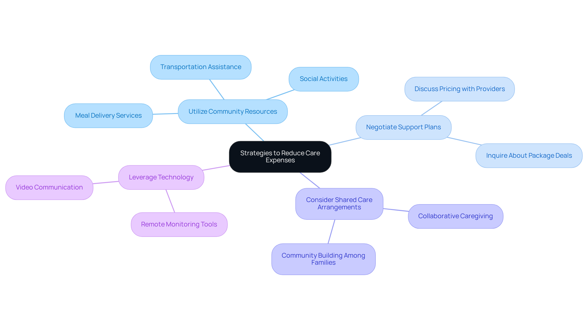 The central node represents the main goal of reducing care expenses, while each branch shows a strategy that families can use. Each branch's sub-points offer additional details on how to implement the strategies.