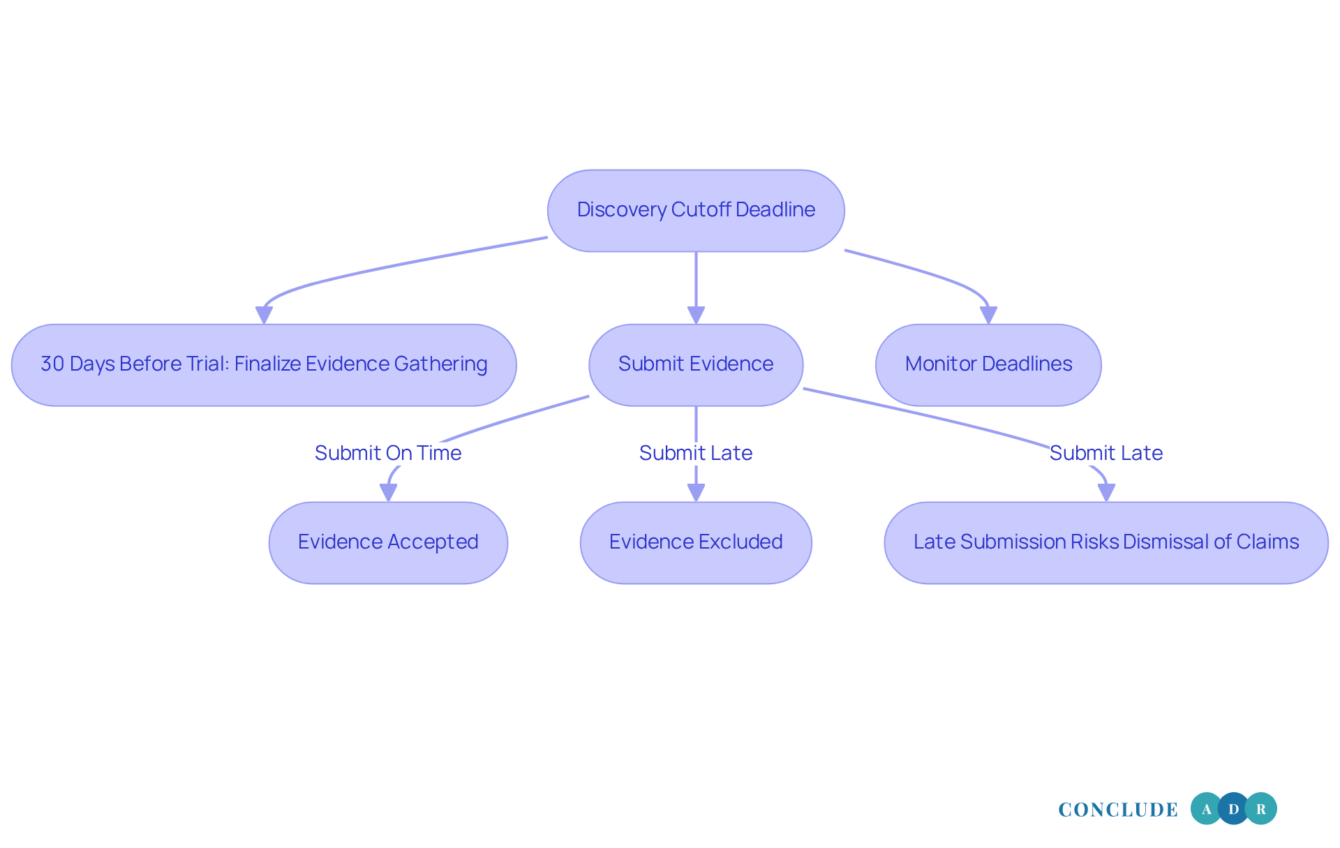 This flowchart outlines the key steps and consequences in the evidence gathering process for legal proceedings. Follow the arrows to understand what to do before the deadline and what can happen if you miss it.