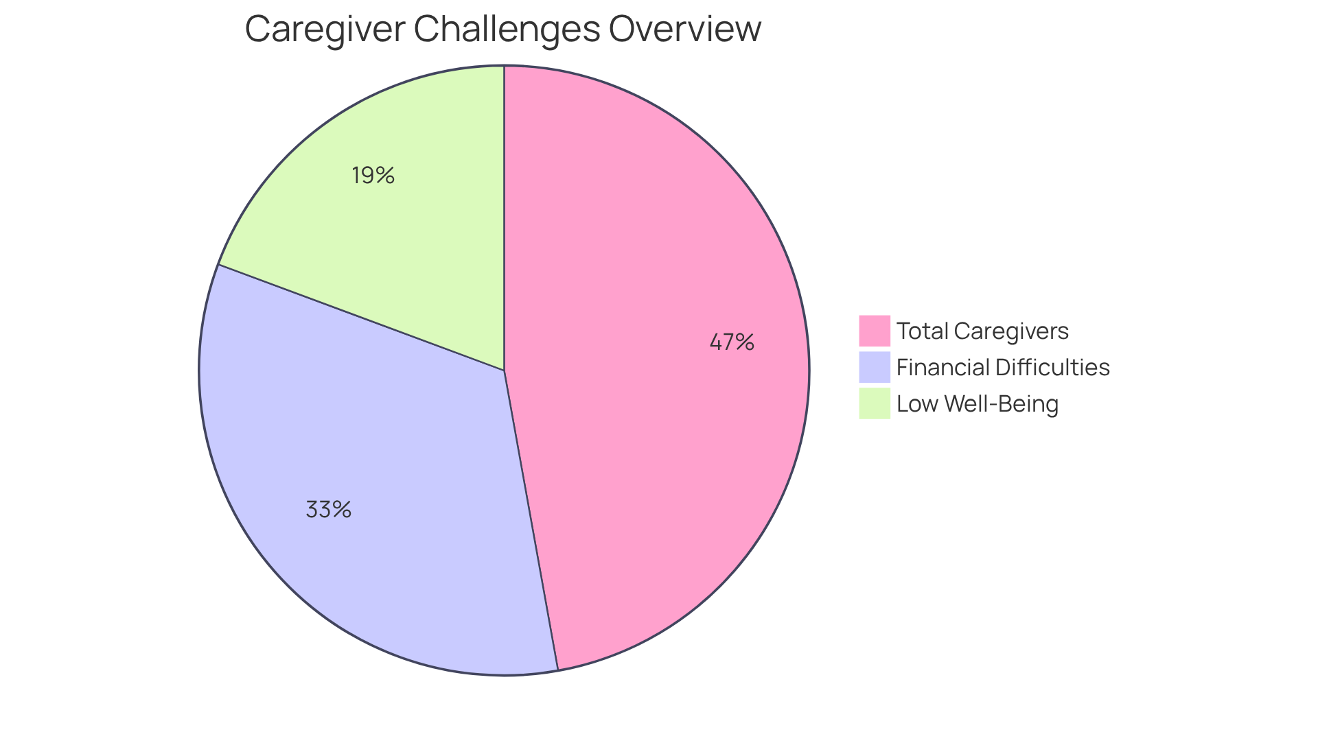 Each segment of the pie shows a different challenge faced by caregivers. The larger the segment, the more caregivers are affected by that issue. The blue segment represents all caregivers, while the orange and green segments show those struggling with low well-being and financial difficulties, respectively.