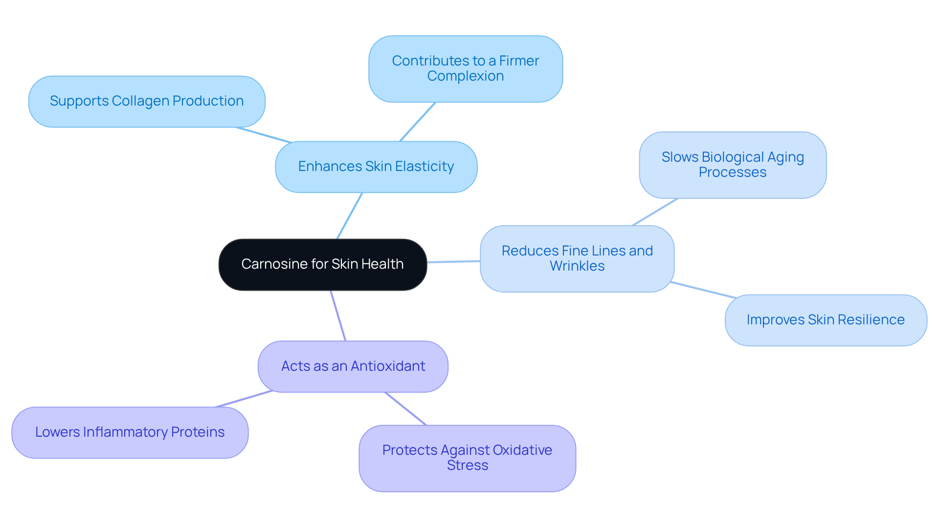 This mindmap shows how Carnosine can improve your skin. Start at the center with Carnosine, then follow the branches to see its main benefits and how they help your skin look youthful and vibrant. This mindmap shows how Carnosine can improve your skin. Start at the center with Carnosine, then follow the branches to see its main benefits and how they help your skin look youthful and vibrant.