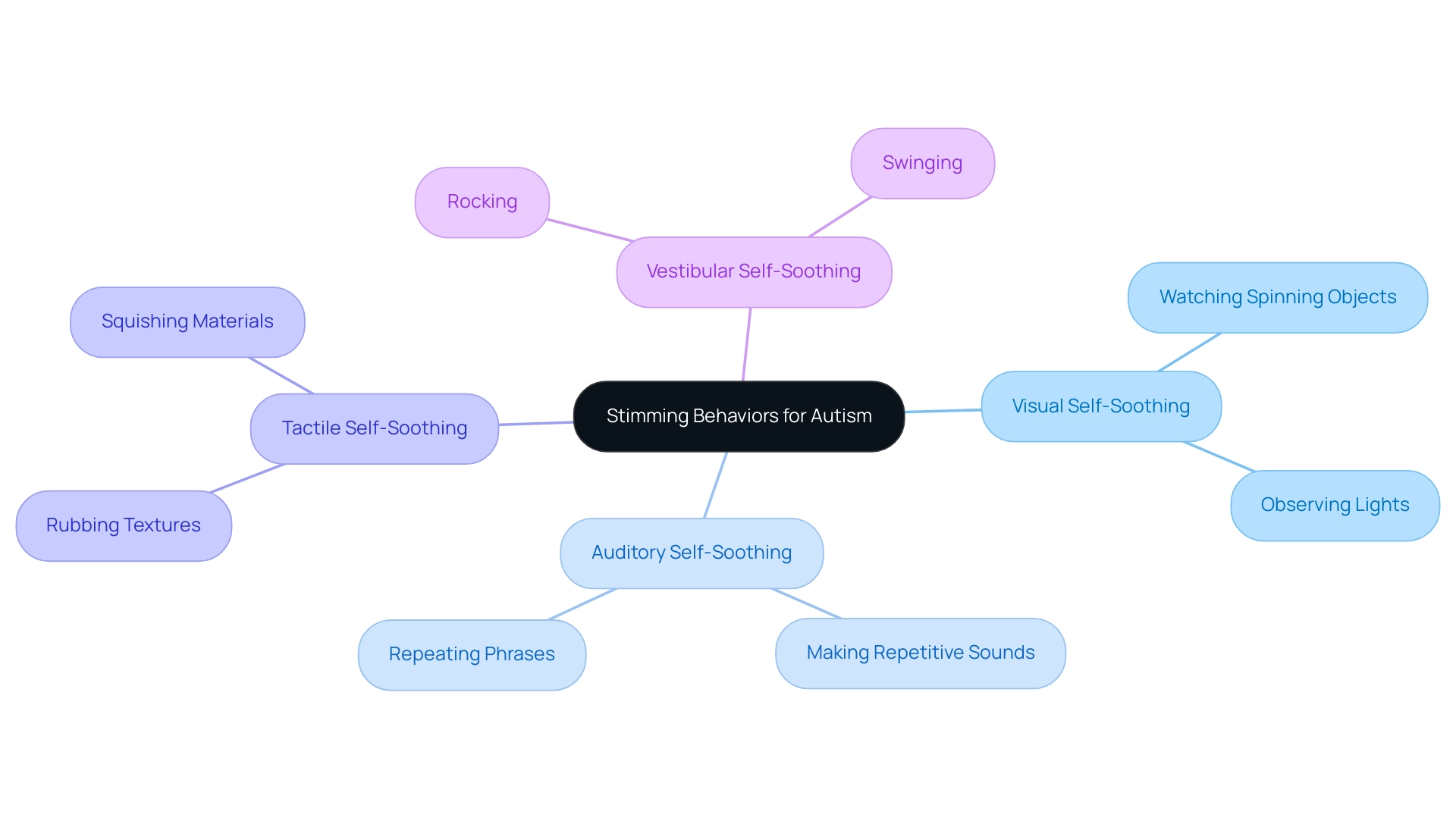 Each branch represents a type of stimming behavior, with sub-branches detailing specific activities associated with each type.