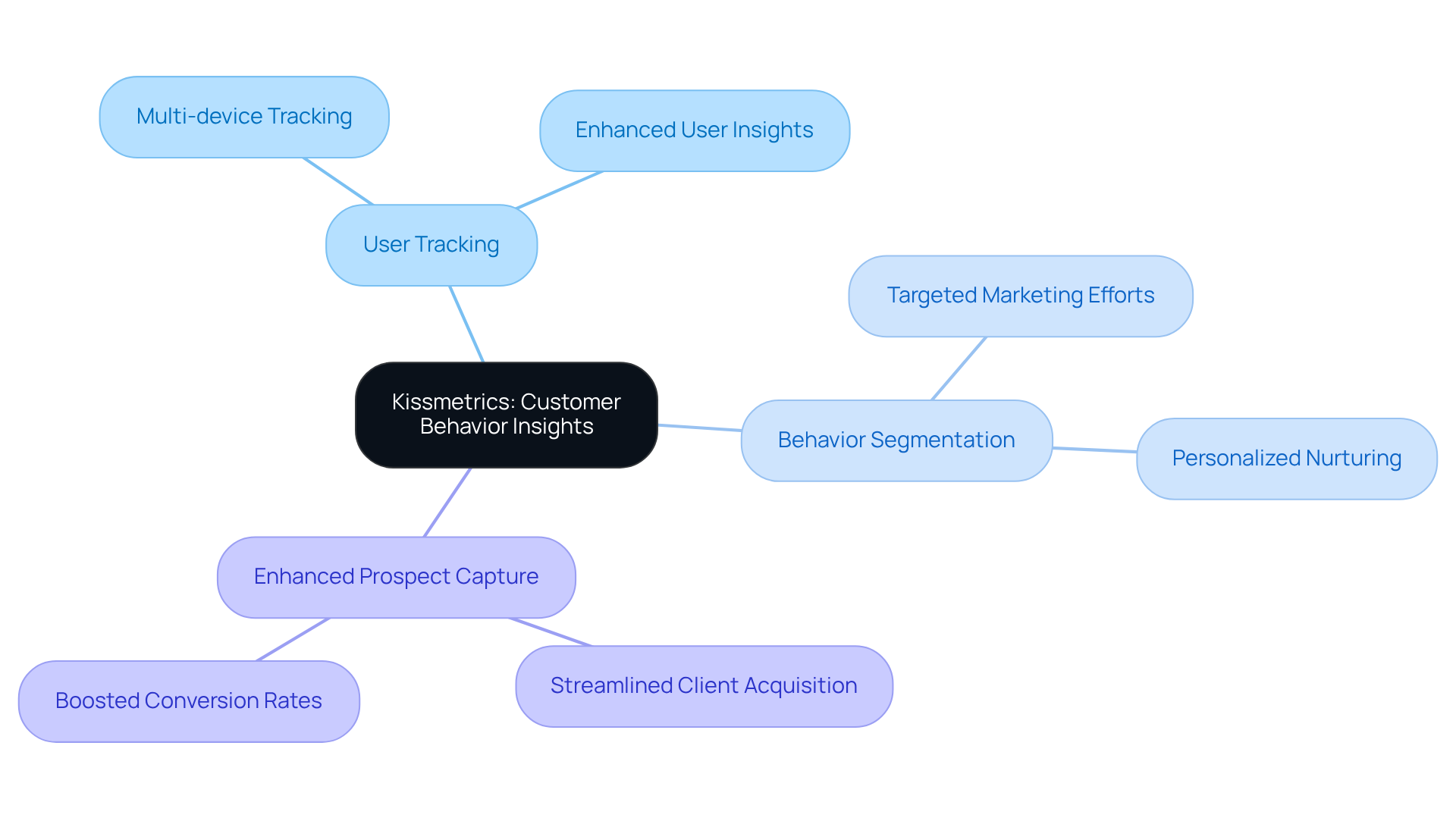 Start at the center with Kissmetrics, then explore the branches to see how each feature helps improve customer interactions and lead capture strategies.