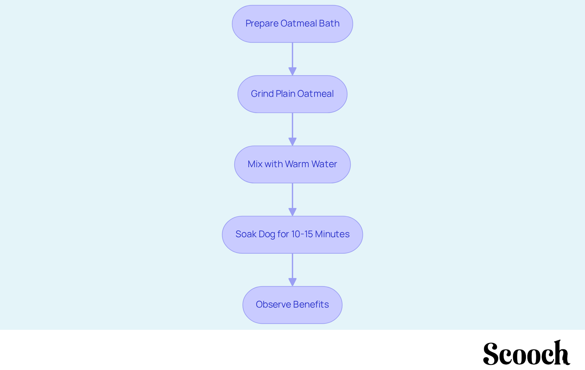 Follow the arrows to see how to prepare an oatmeal bath for your dog. Each step shows what to do next, ensuring your furry friend can enjoy a soothing soak!