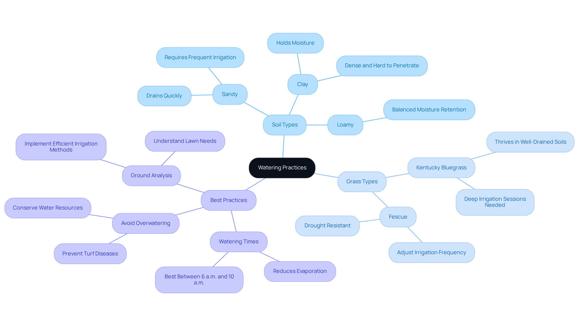 The central node represents the overall topic of watering practices. Each branch shows different aspects: soil types affect how water is absorbed, grass types indicate specific watering needs, and best practices help optimize irrigation for a healthy lawn.