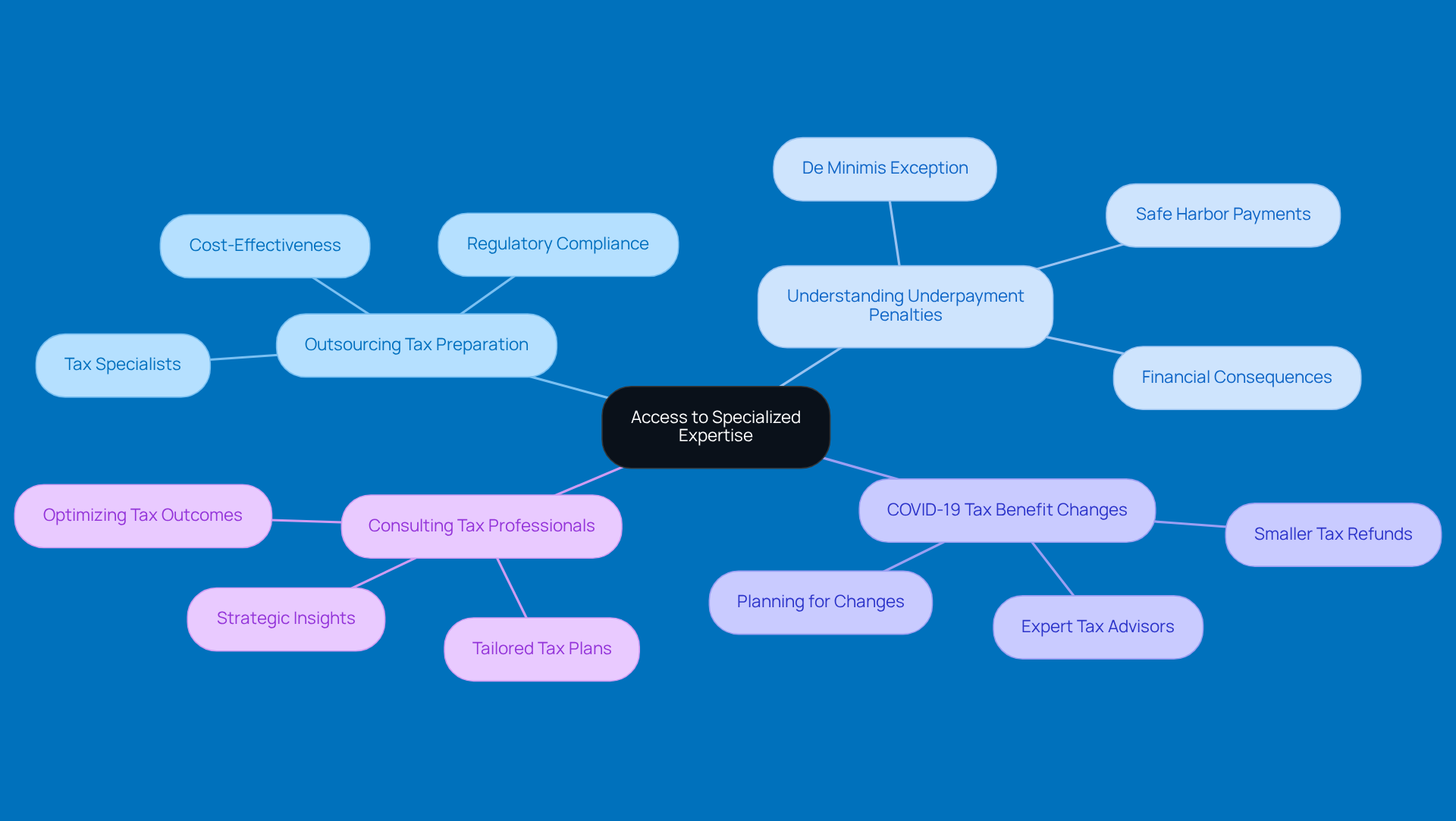 The central idea is about accessing specialized tax expertise. Each branch represents a key area of focus, with sub-branches providing more detailed insights or strategies related to that area.