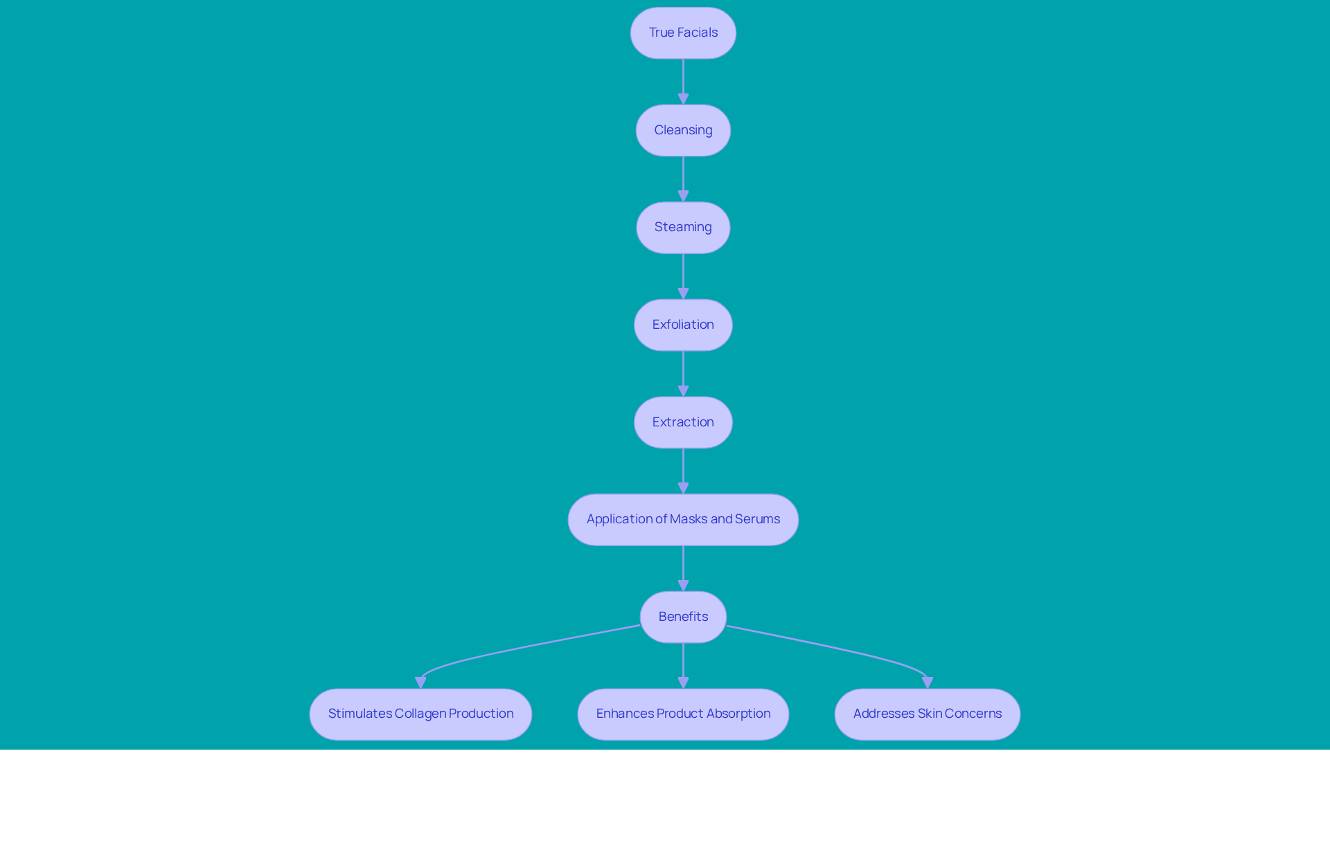Follow the arrows to see how each step in the facial process leads to various benefits for your skin. Each box represents a crucial part of the treatment, and the final benefits highlight why true facials are essential for long-term skin health. Follow the arrows to see how each step in the facial process leads to various benefits for your skin. Each box represents a crucial part of the treatment, and the final benefits highlight why true facials are essential for long-term skin health.