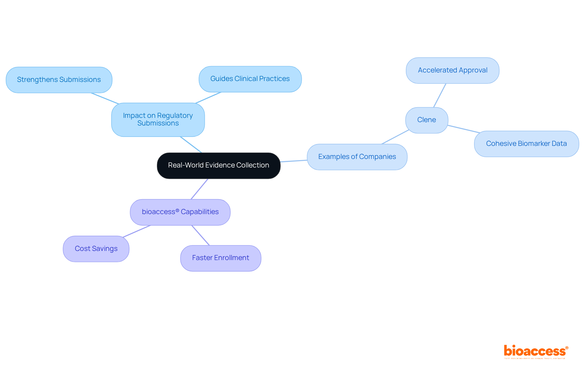 Start at the center with the main topic, then explore the branches to see how real-world evidence impacts drug development, regulatory processes, and specific company capabilities.