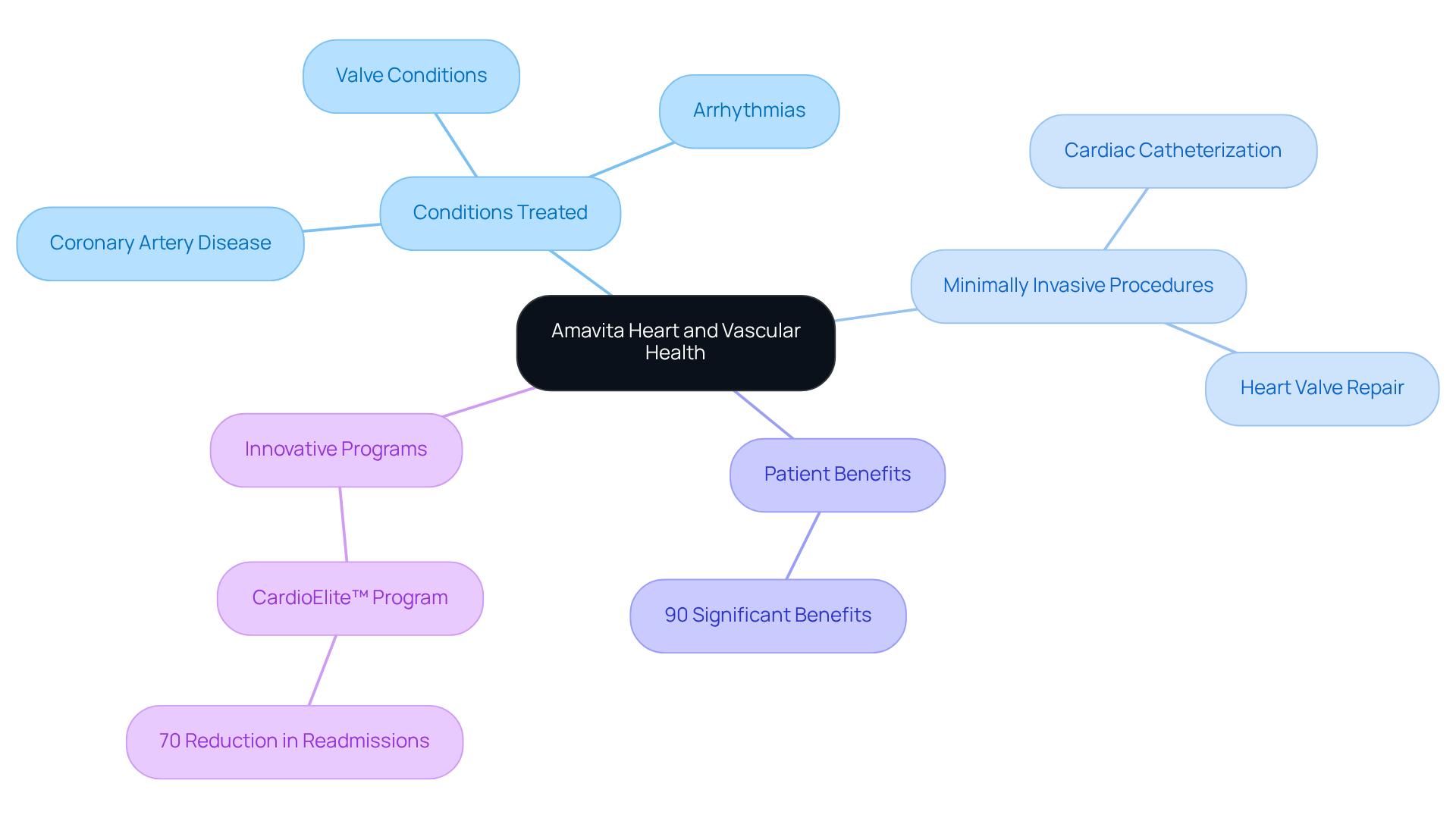 The mindmap starts with the main focus on heart and vascular health, branching into different areas. Each branch highlights a specific aspect of the services offered, making it easy to understand how they connect and support overall heart wellness.