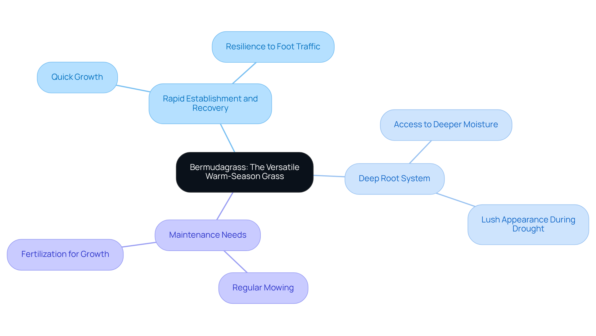 The center shows the main topic, Bermudagrass, and the branches represent its key benefits. Each benefit can be explored further by following the sub-branches for more details.