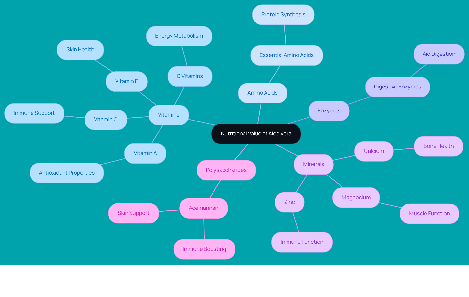 The center represents the overall topic of aloe vera's nutrition, with branches showing different nutrient categories and their specific benefits. Explore how each component contributes to health and well-being!