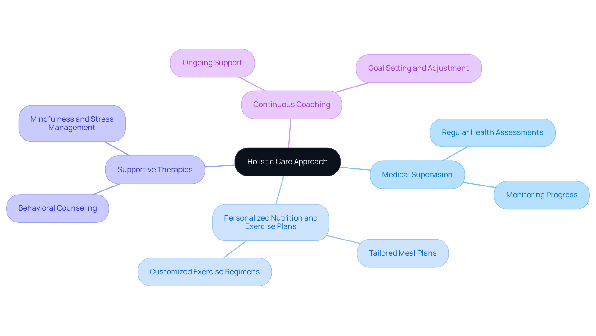 The center of the mindmap shows the main idea of holistic care. Each branch represents a different service that supports weight loss, helping you see how they all connect to the overall goal of improving health and well-being.