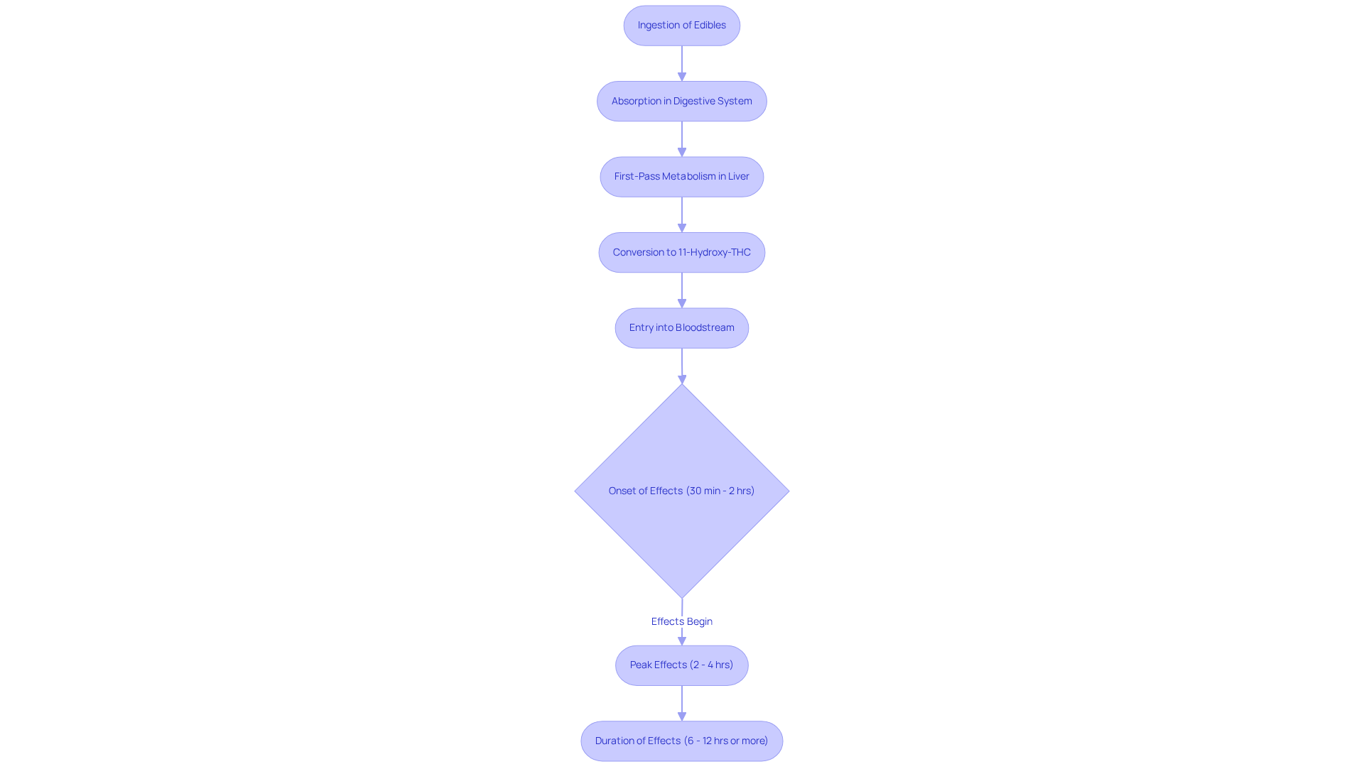 Follow the arrows to see how THC travels through your body after consuming edibles — from ingestion to when you feel the effects. Each step shows what happens and how long it takes. Follow the arrows to see how THC travels through your body after consuming edibles — from ingestion to when you feel the effects. Each step shows what happens and how long it takes.
