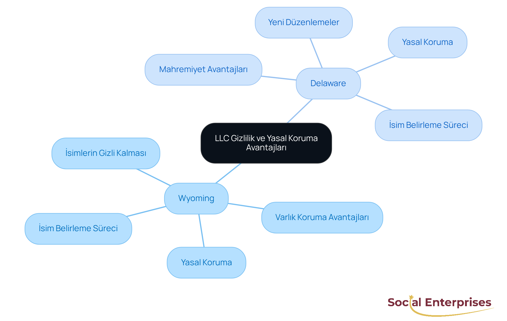 Merkezdeki başlık, LLC’lerin gizlilik ve yasal koruma avantajlarını özetliyor. Dallar, Wyoming ve Delaware'in sunduğu avantajları ve bunların girişimciler için anlamını gösteriyor. Renkler, farklı eyaletleri ve konuları ayırt etmeye yardımcı oluyor. Merkezdeki başlık, LLC’lerin gizlilik ve yasal koruma avantajlarını özetliyor. Dallar, Wyoming ve Delaware'in sunduğu avantajları ve bunların girişimciler için anlamını gösteriyor. Renkler, farklı eyaletleri ve konuları ayırt etmeye yardımcı oluyor.