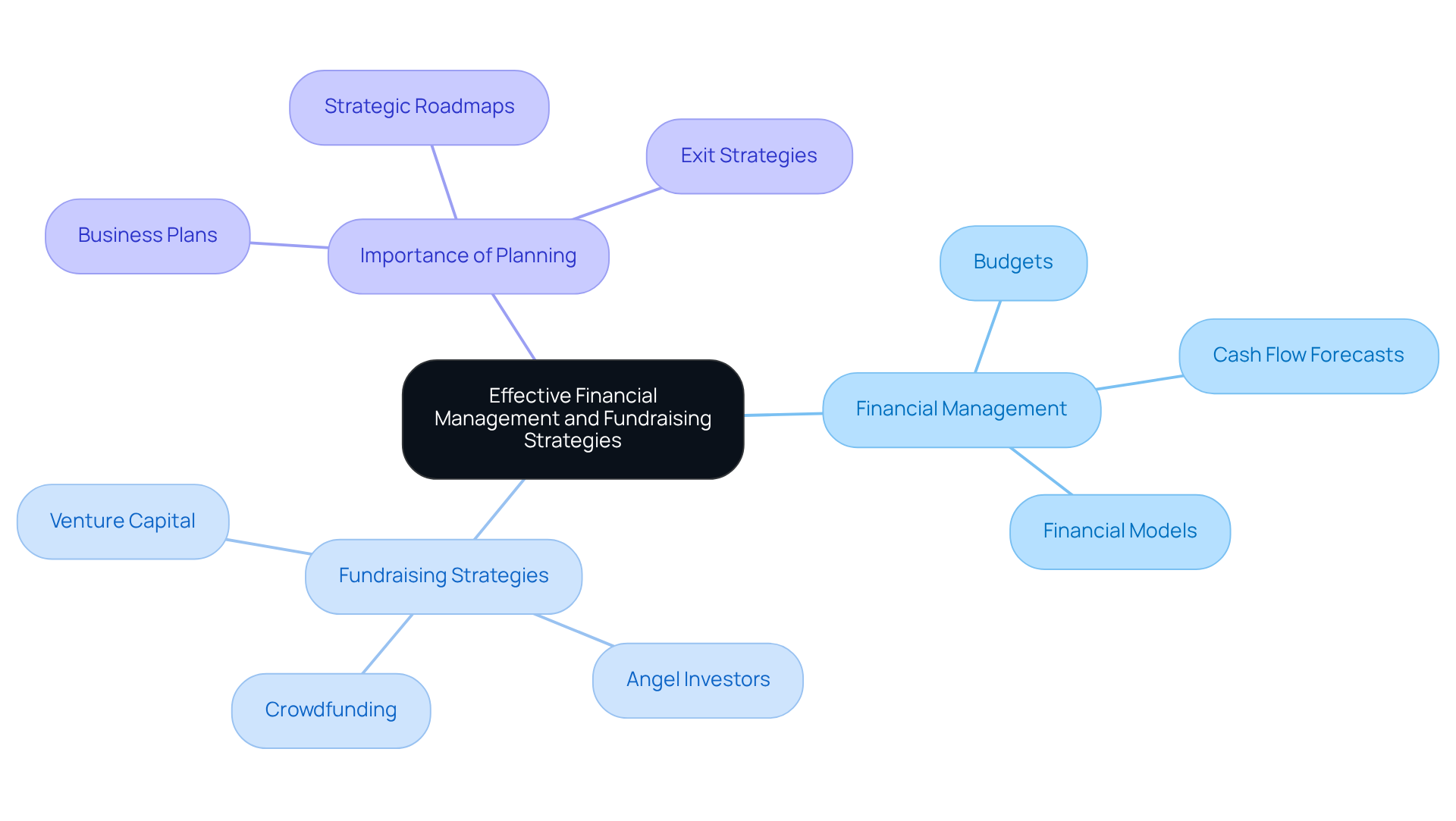 The central node represents the main theme, while branches show key areas of focus. Each sub-branch provides specific strategies or concepts related to financial management and fundraising, helping you understand how they connect. The central node represents the main theme, while branches show key areas of focus. Each sub-branch provides specific strategies or concepts related to financial management and fundraising, helping you understand how they connect.