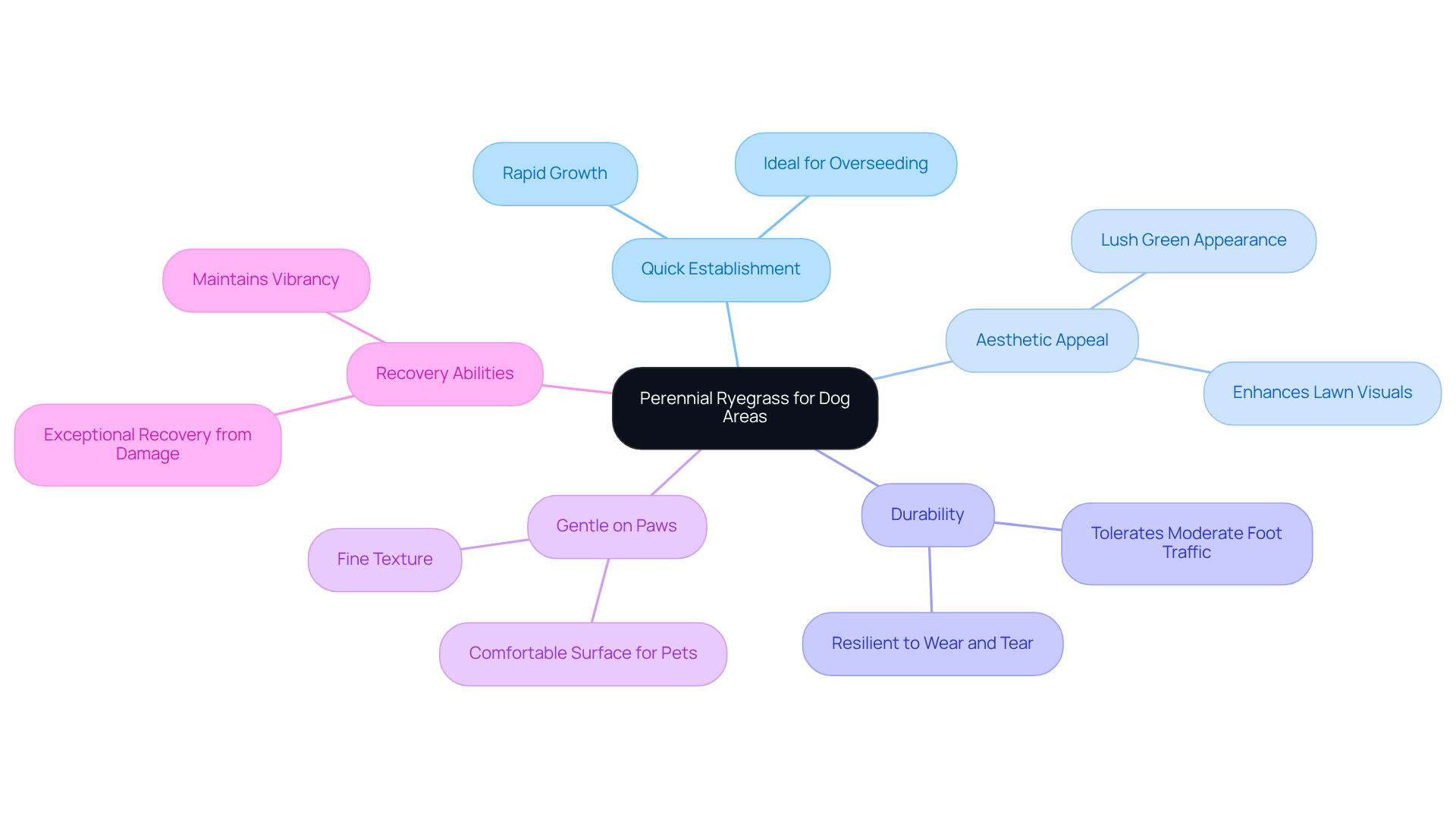 This mindmap starts with Perennial Ryegrass at the center, branching out to show its key benefits for dog owners. Each branch represents a specific advantage, helping you see how this grass can create a vibrant and resilient lawn for your pets. This mindmap starts with Perennial Ryegrass at the center, branching out to show its key benefits for dog owners. Each branch represents a specific advantage, helping you see how this grass can create a vibrant and resilient lawn for your pets.