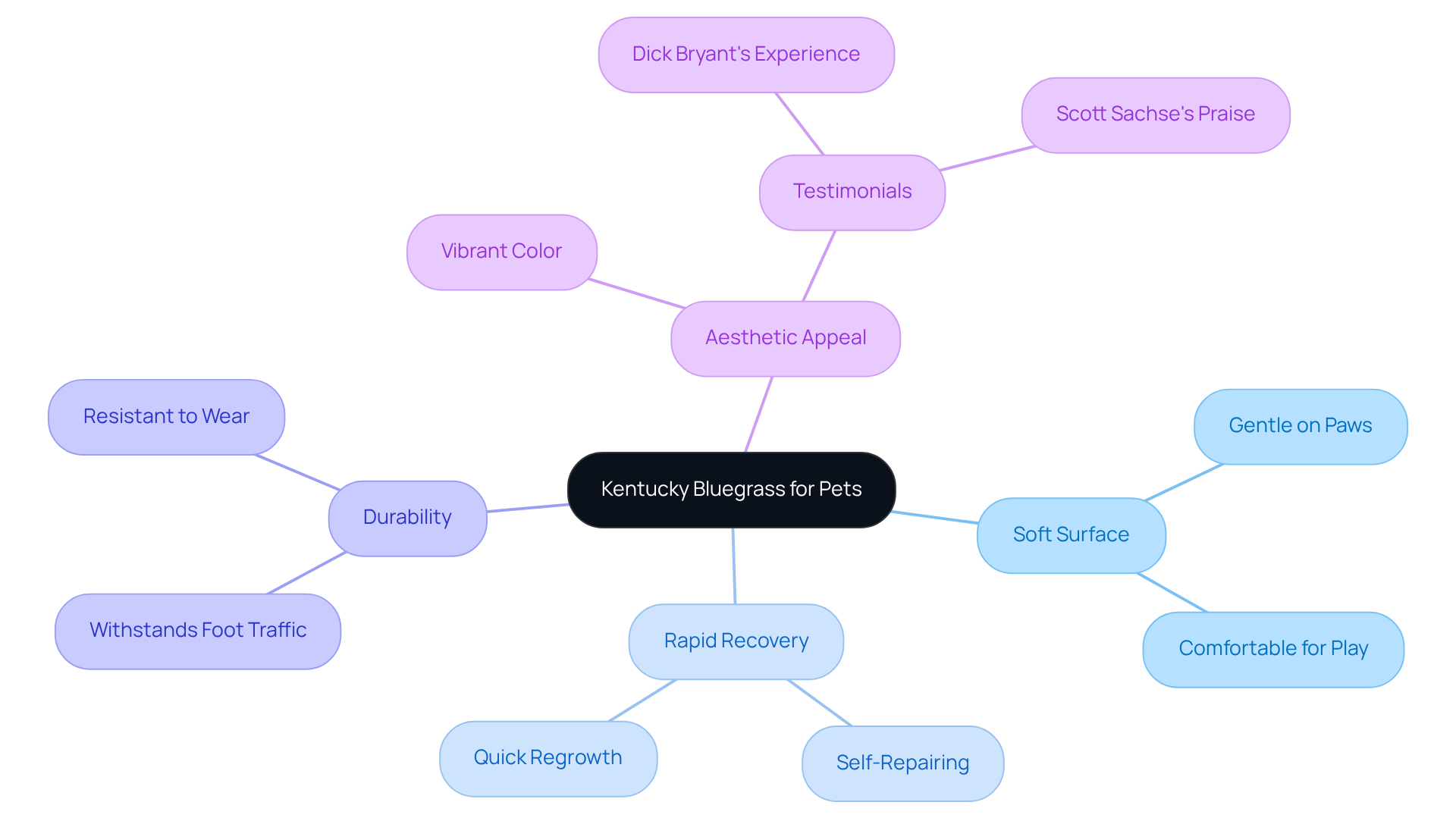 The center shows Kentucky Bluegrass, and the branches highlight its key features and benefits. Each testimonial adds real-life experiences, illustrating how this grass performs in pet-friendly environments. The center shows Kentucky Bluegrass, and the branches highlight its key features and benefits. Each testimonial adds real-life experiences, illustrating how this grass performs in pet-friendly environments.