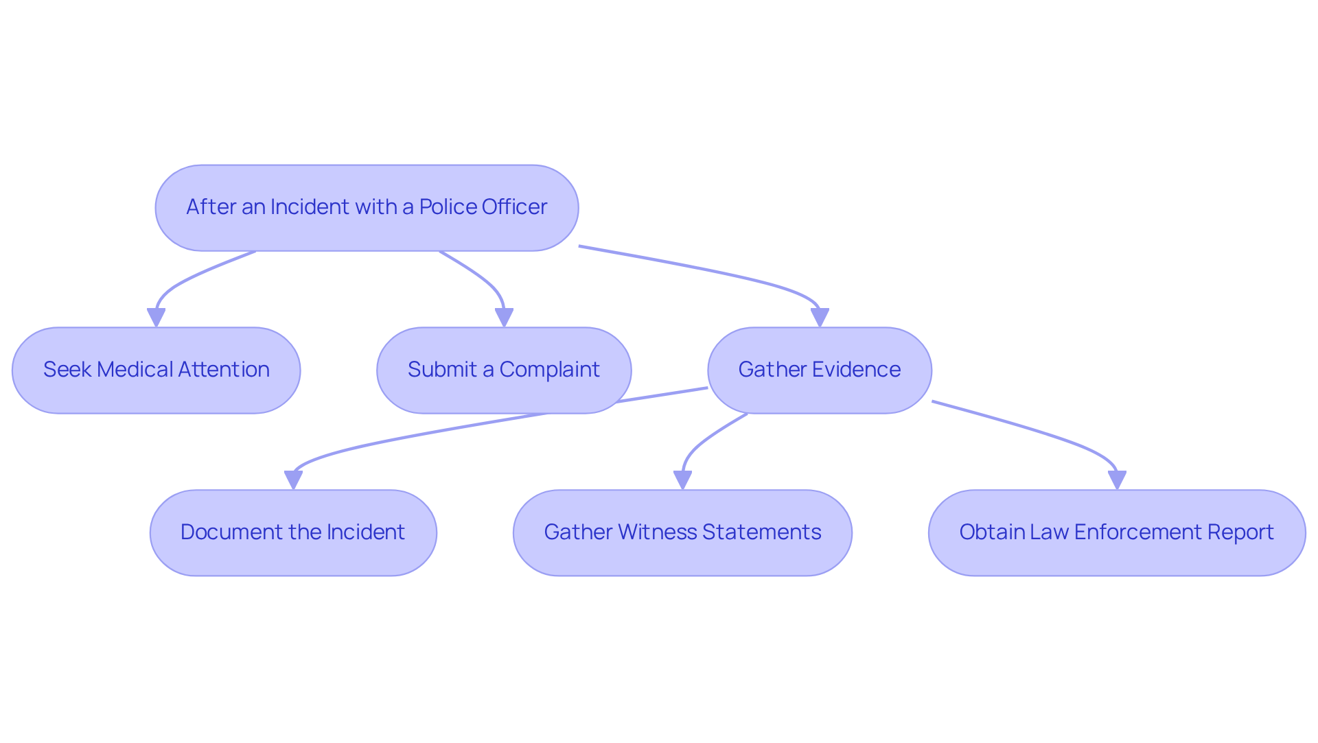 This flowchart guides you through the important steps to take after an incident with a police officer. Start at the top and follow the arrows to see what actions you should take to protect your rights and seek justice.