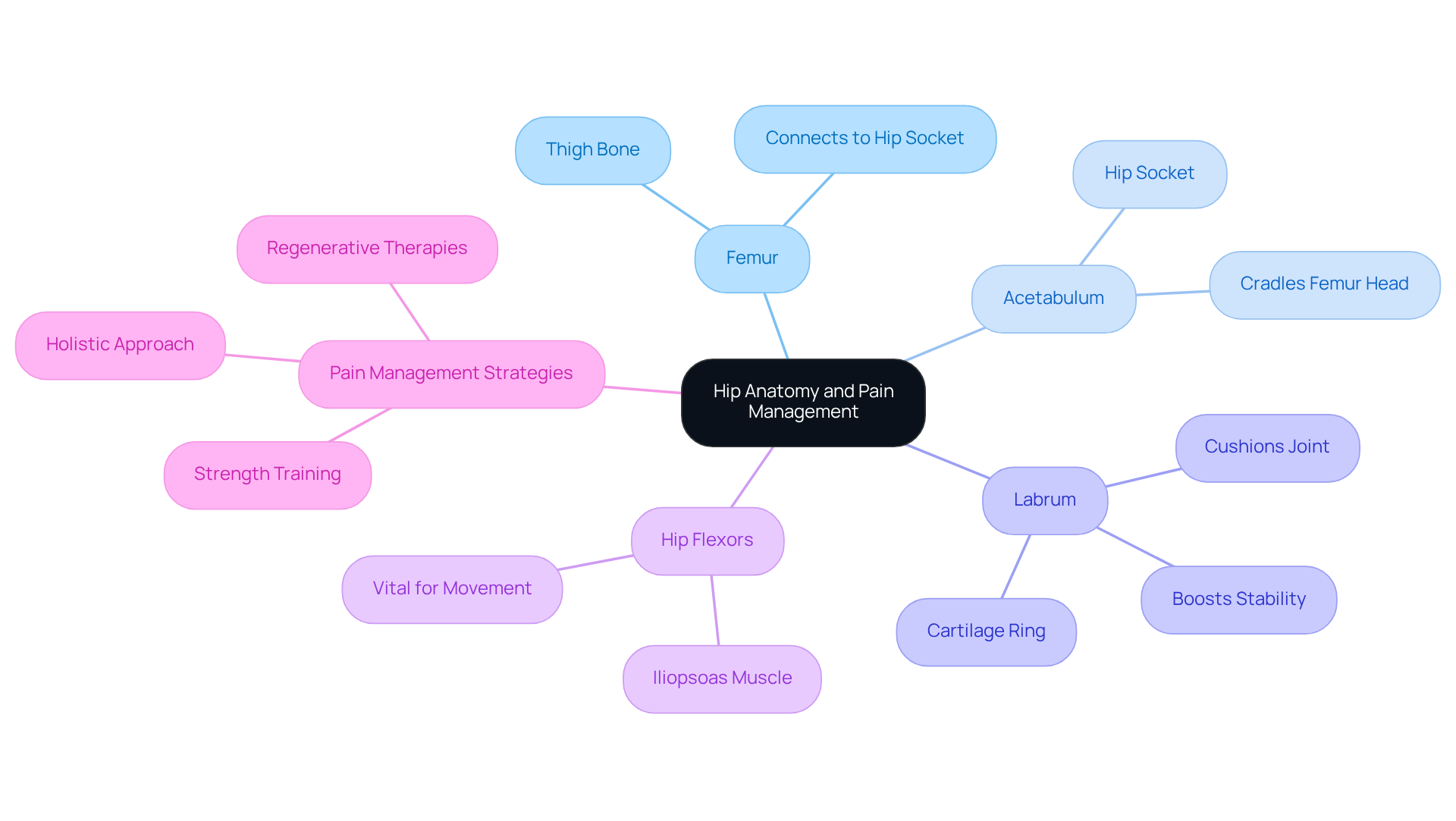 The central node represents the overall topic, while the branches show the main anatomical components of the hip. Each sub-branch explains how these parts relate to pain and treatment, helping you see the bigger picture of hip health.