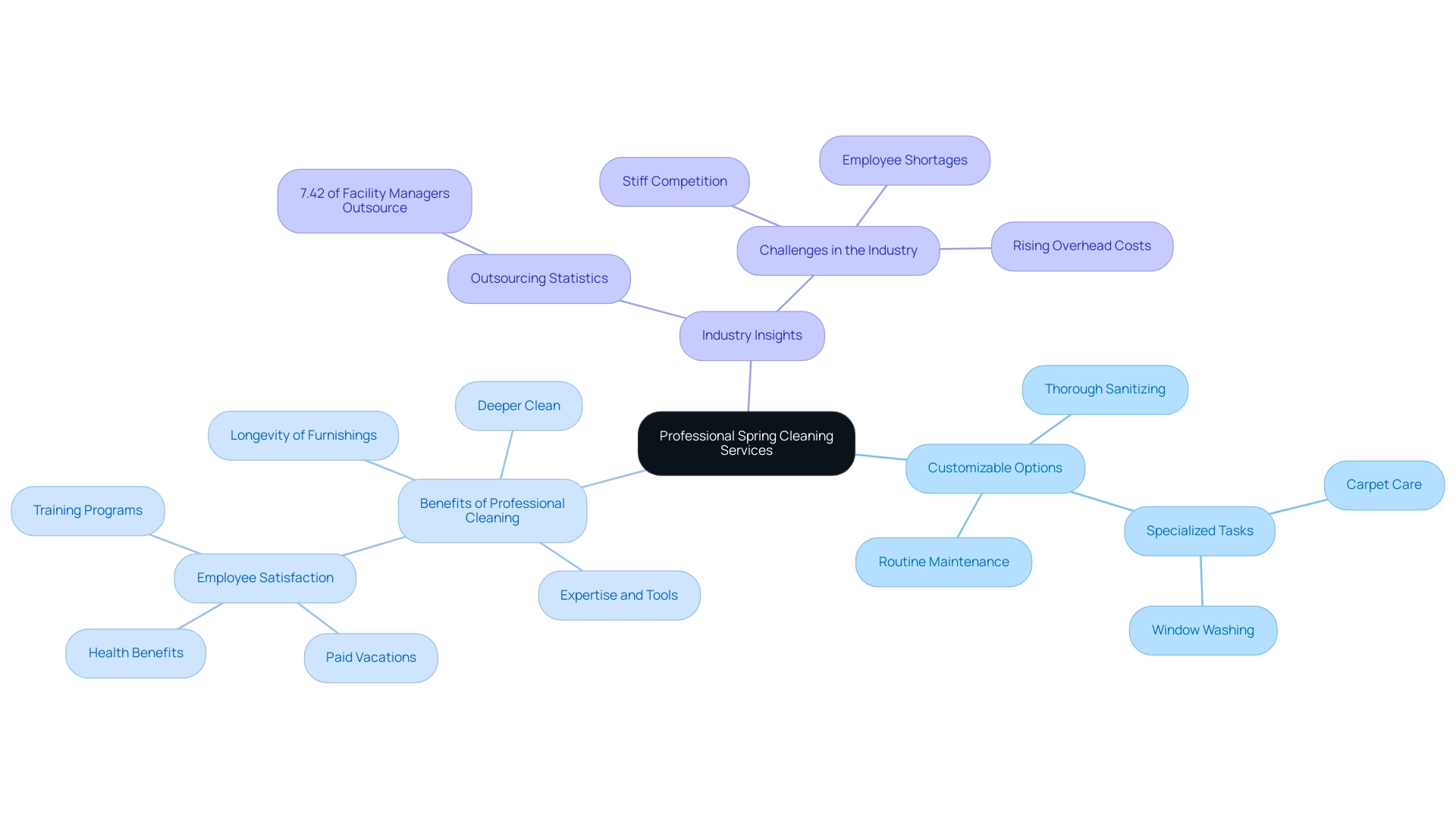 The central node represents the overall service, with branches indicating customizable options, benefits, and industry statistics.