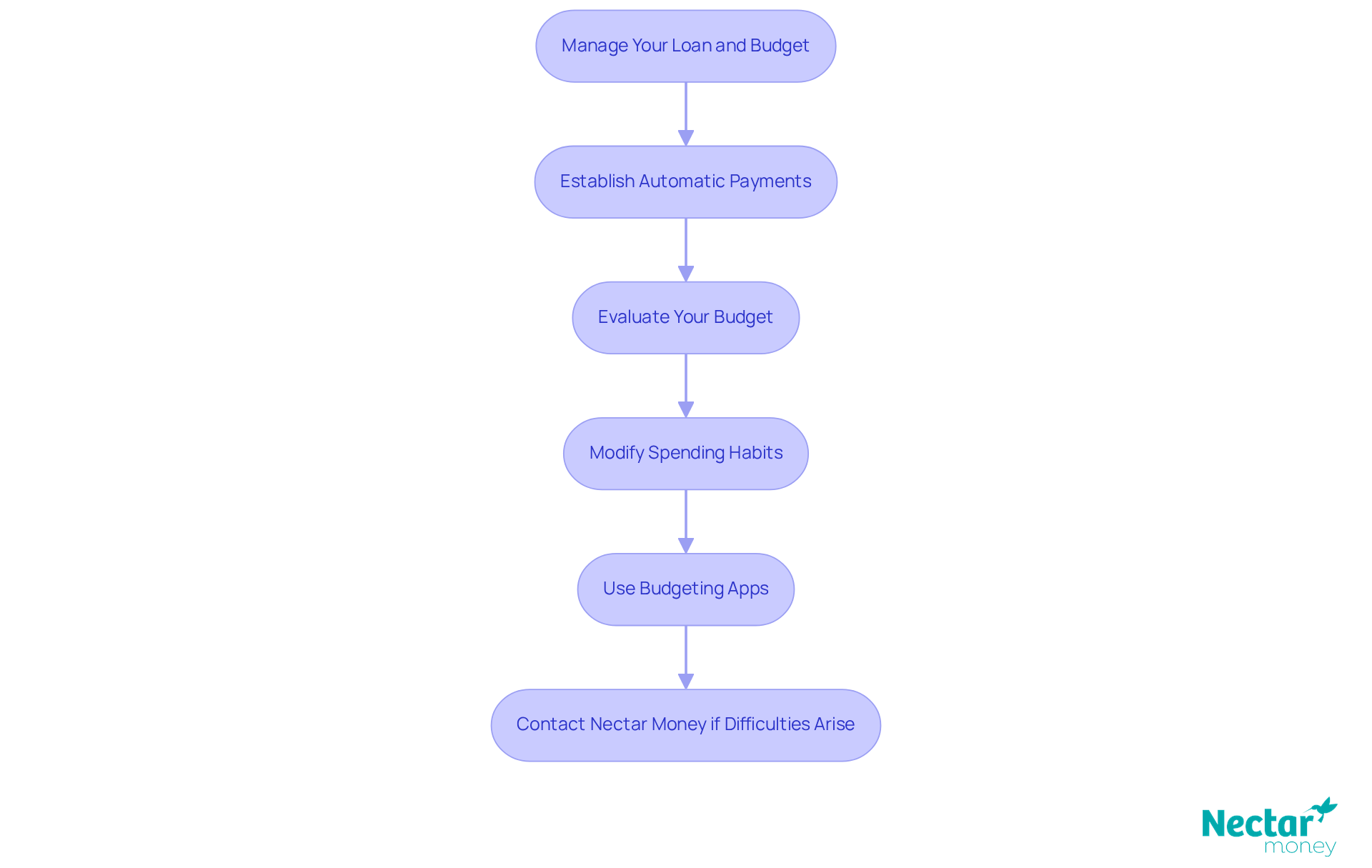Each box represents a critical step in managing your loan and budget. Follow the arrows to understand the flow from one step to the next, ensuring you stay on track financially.