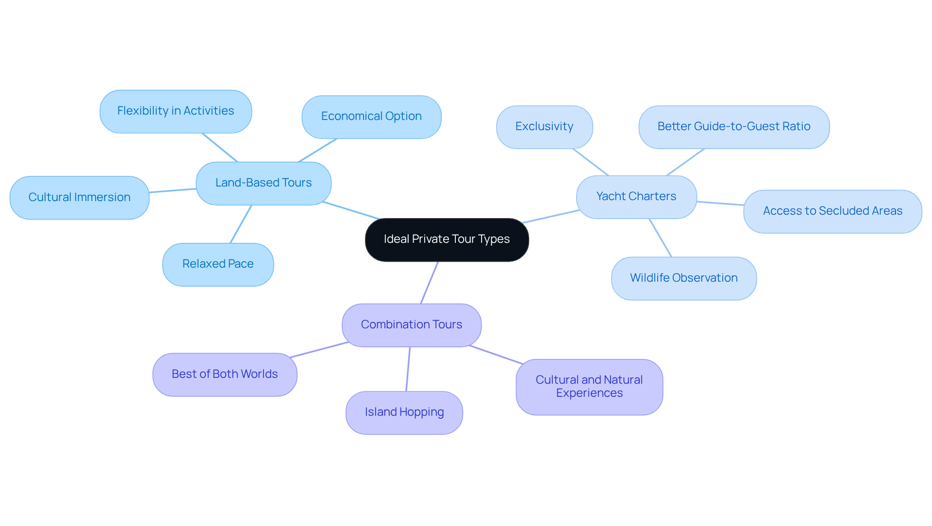 The central node represents the main topic of private tour types. Each branch shows a different tour option, with further details on what makes each one special. Follow the branches to discover which tour aligns best with your travel desires.